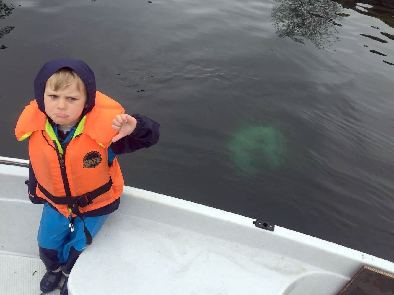 Lite imponert av komfyrdumping - strilen.no