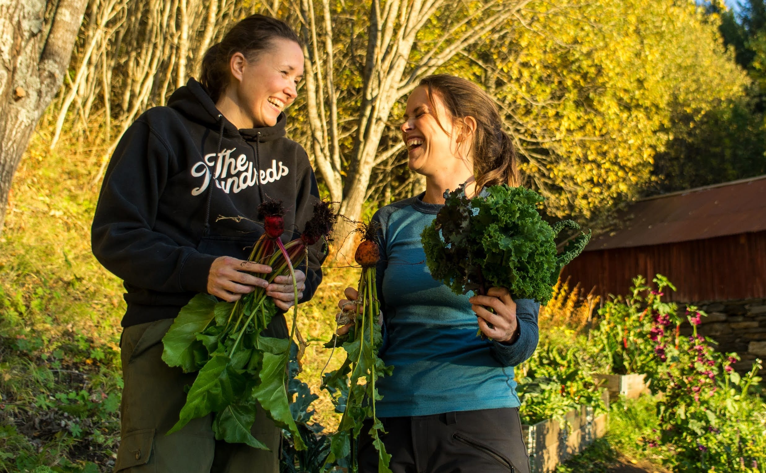 Grønn dyrkesuksess og «dass» på plass - itromso.no