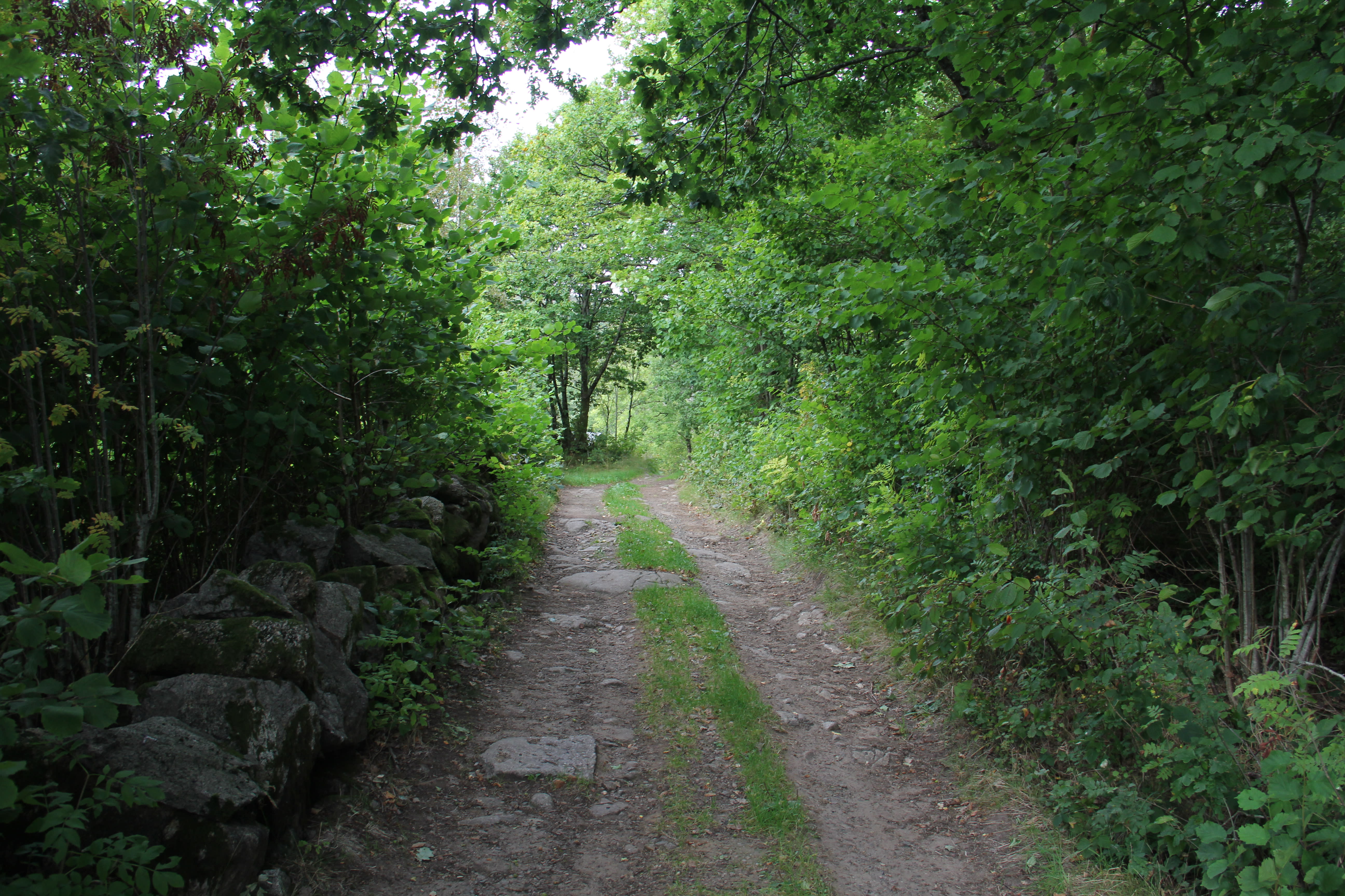 Viktig for oss å få forholdet avklart - lister24.no