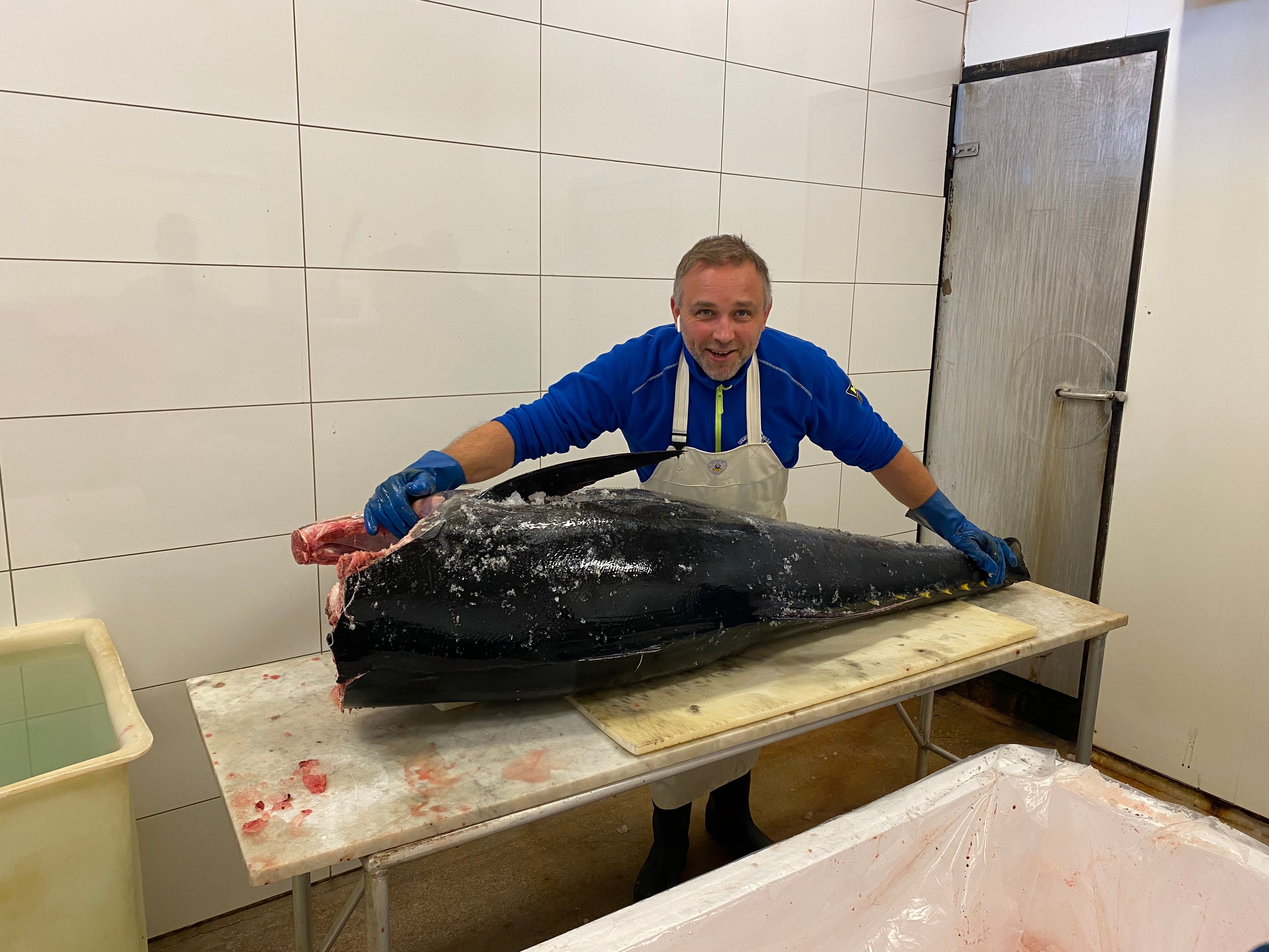 Kjempefisk klar for kundar i Molde - rbnett.no