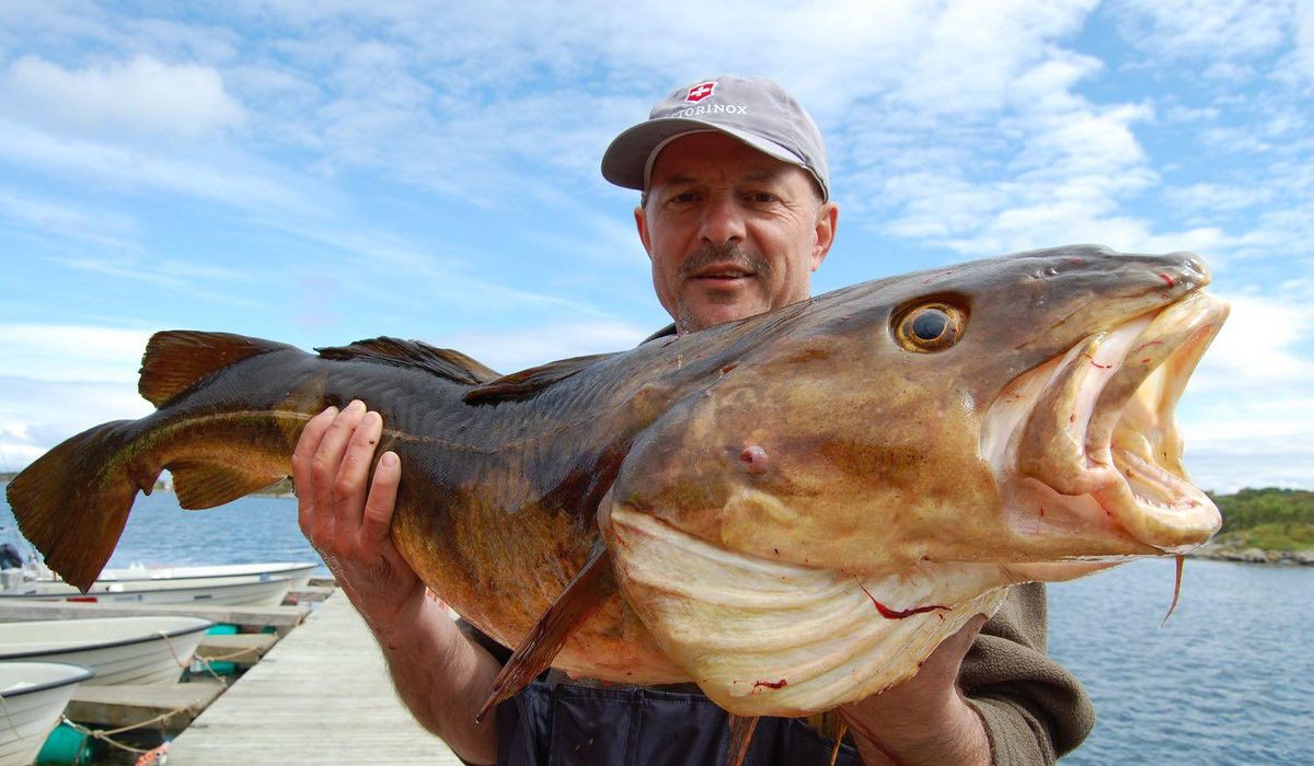 Vil diskutere fisketurismens framtid - hitra-froya.no Vil diskutere fisketurismens framtid - hitra-froya.no