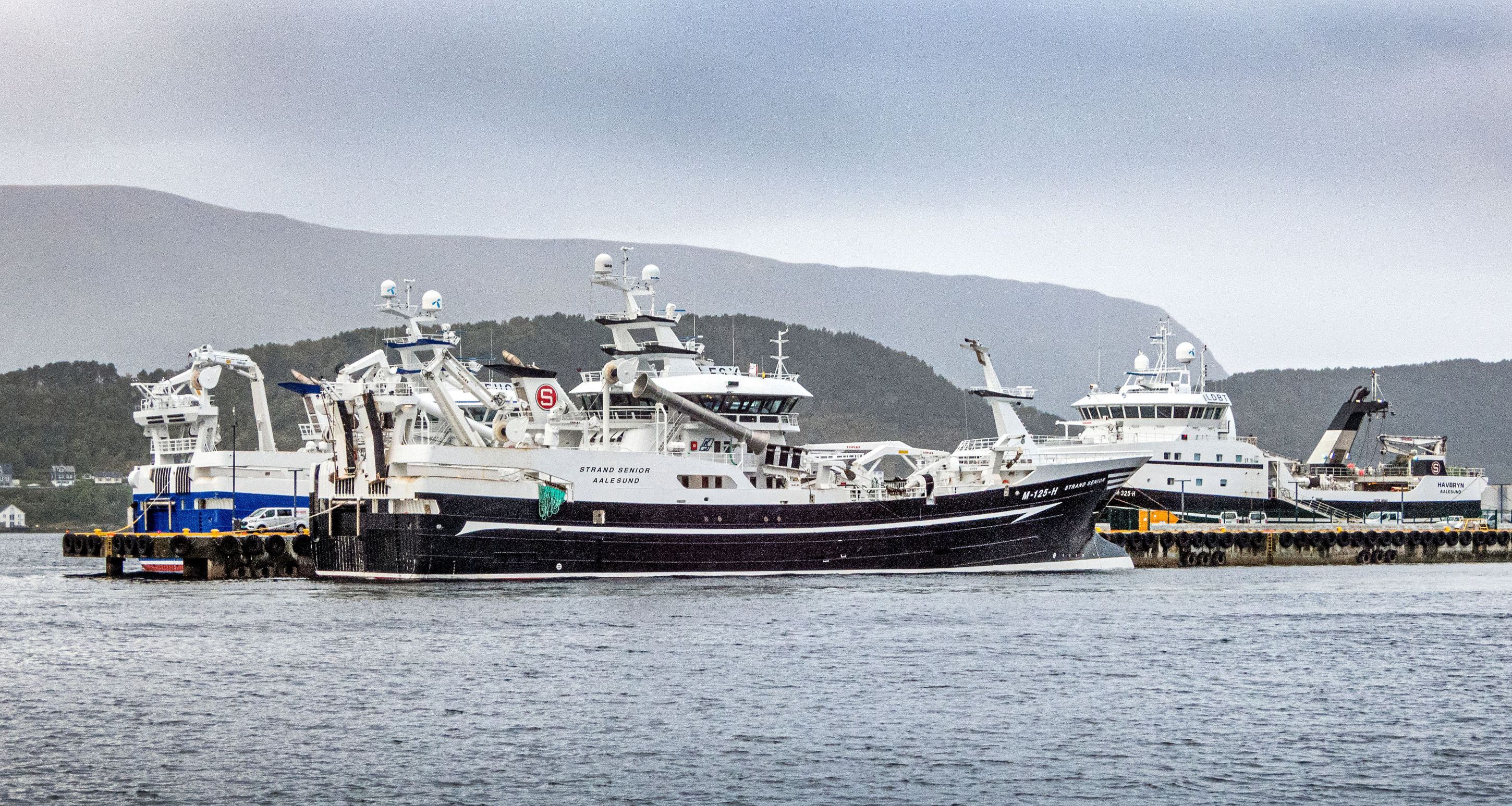 Fiskebåt: Den havgående flåten kan tape 300–400 millioner på ...