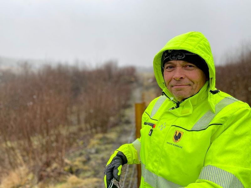 Gisle er på jakt etter en brøyter i vinter. En av disse vil stikke av ...