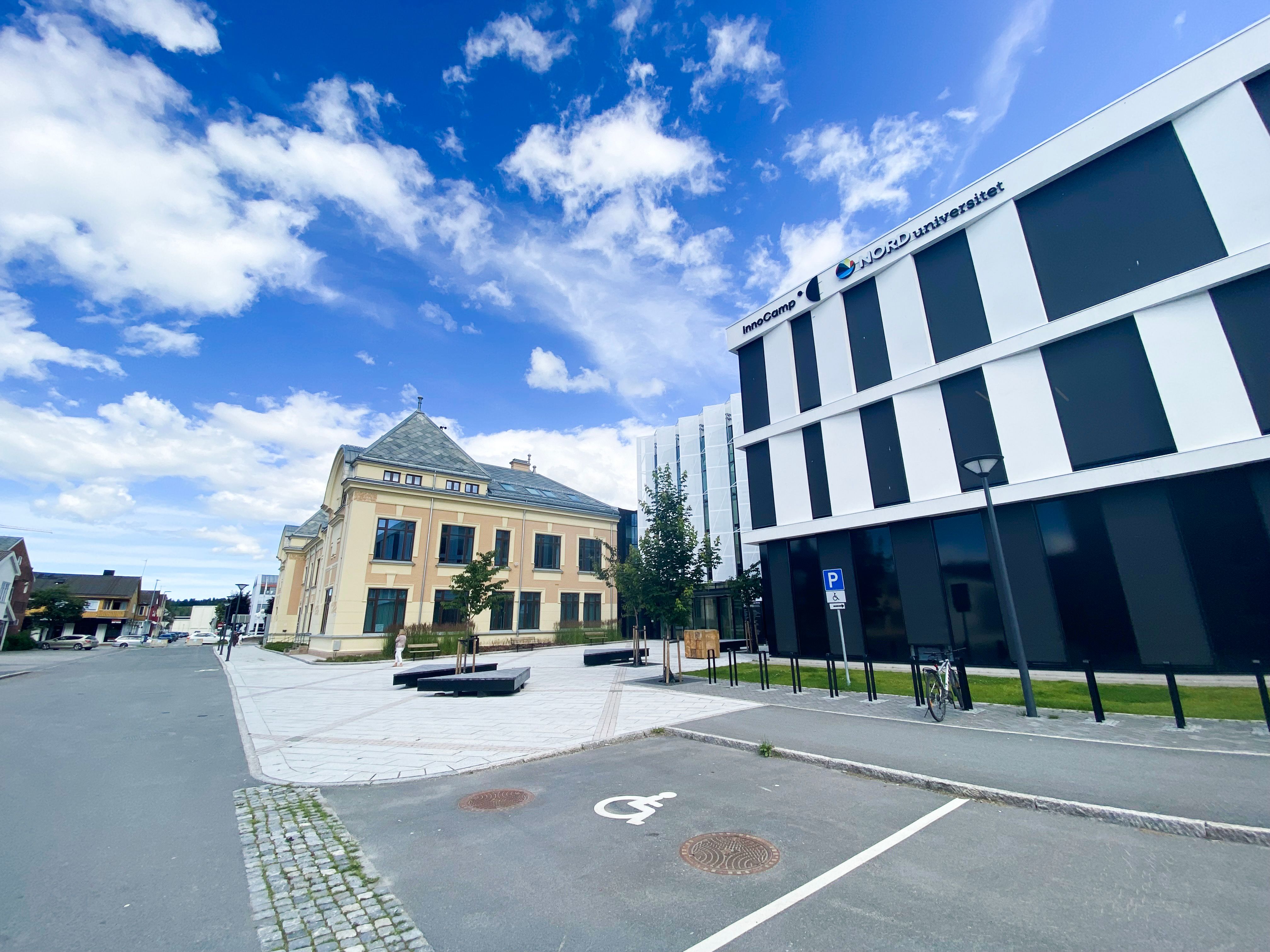 På kun ett studie i Steinkjer er det poenggrense for å komme inn ...