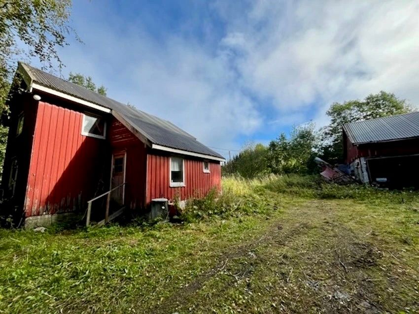 Frisk budrunde sjudoblet prisen: – Det har tatt litt av - tronderbladet.no