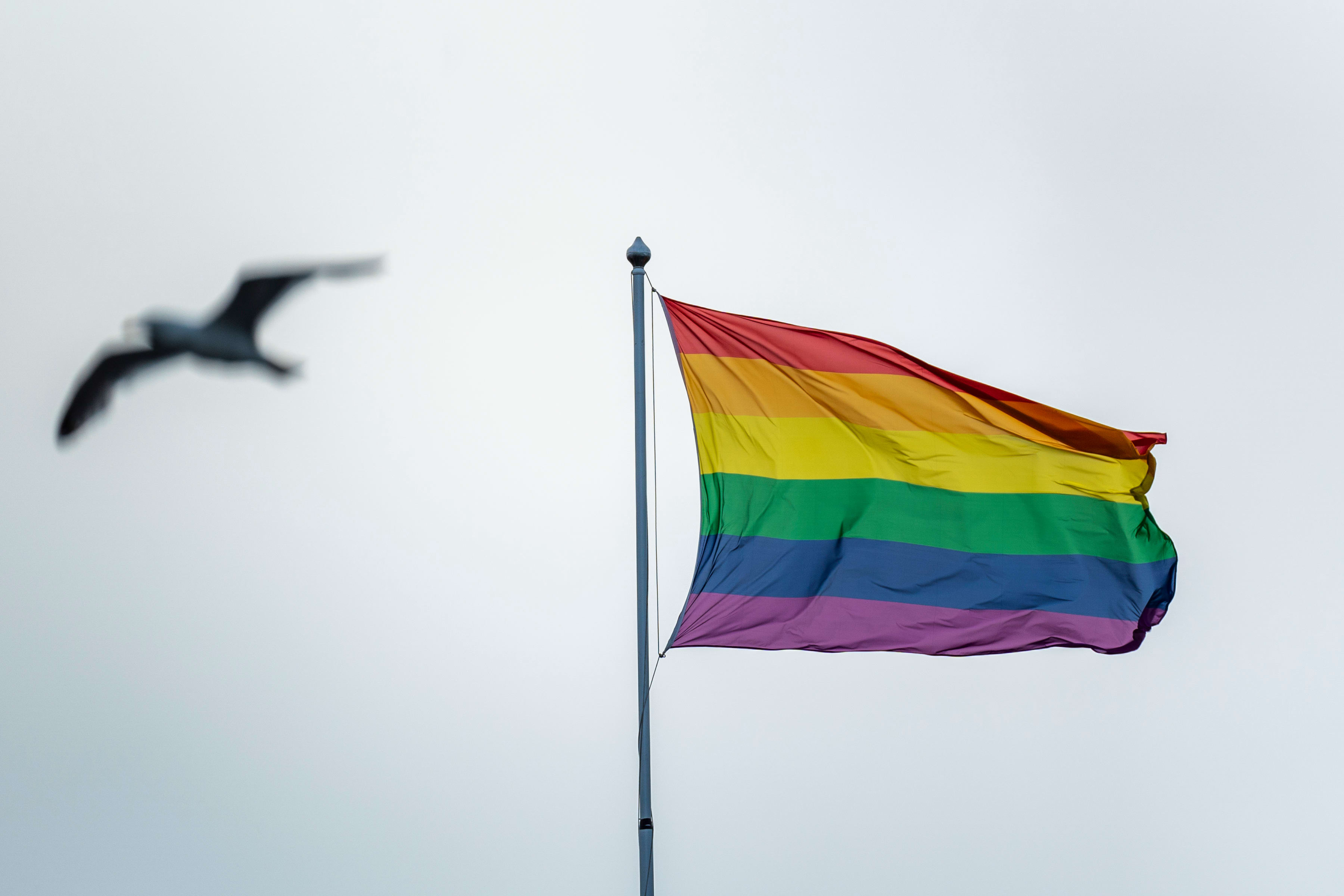 Uenighet om når det skal flagges med Pride-flagg