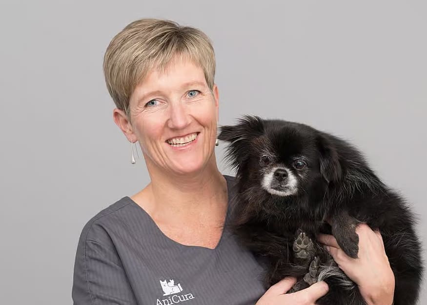 Nyttårsaften er den verste dagen for dyrene – slik blir du forberedt ...