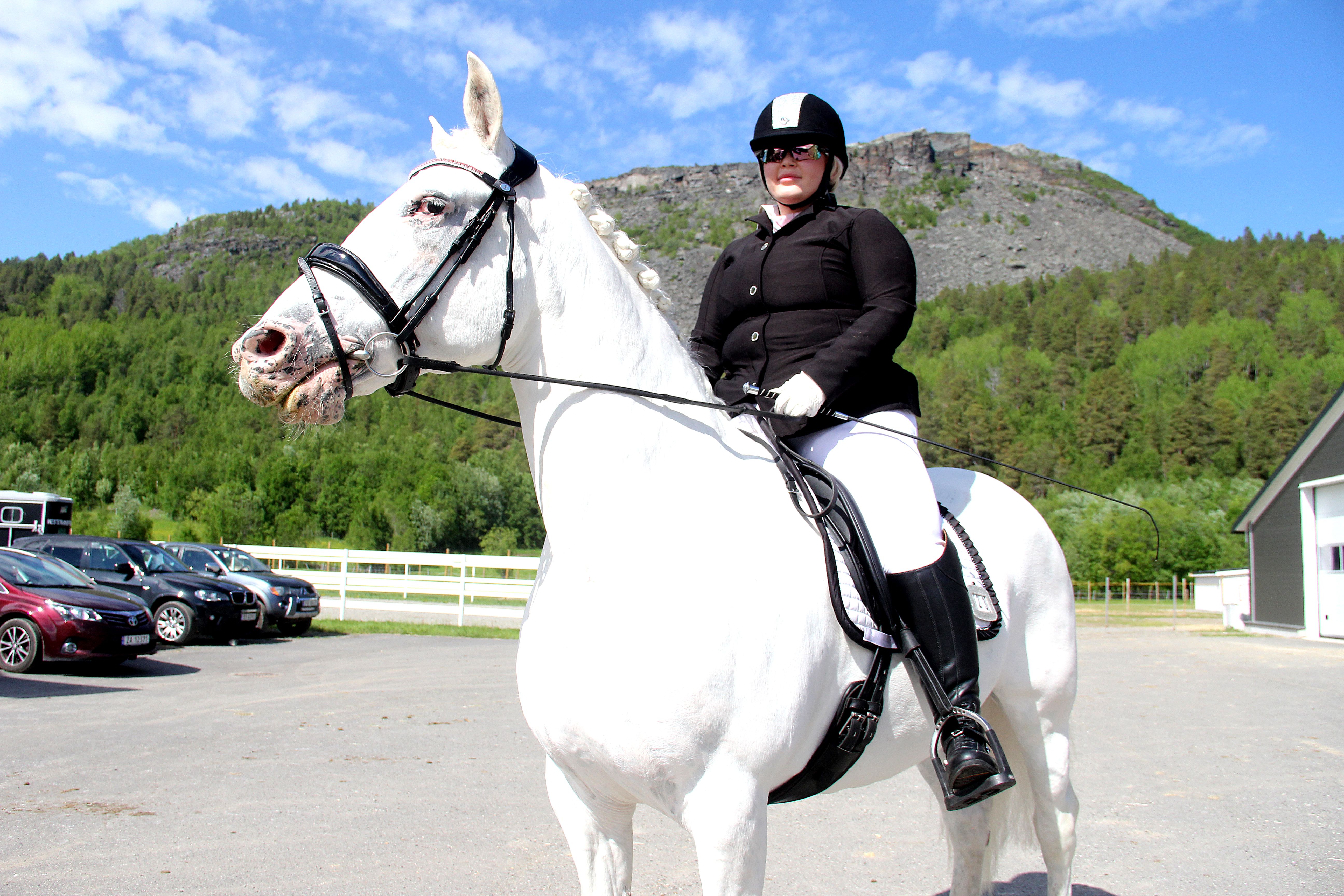 Hest er dyrt, men balsam for sjelen - altaposten.no