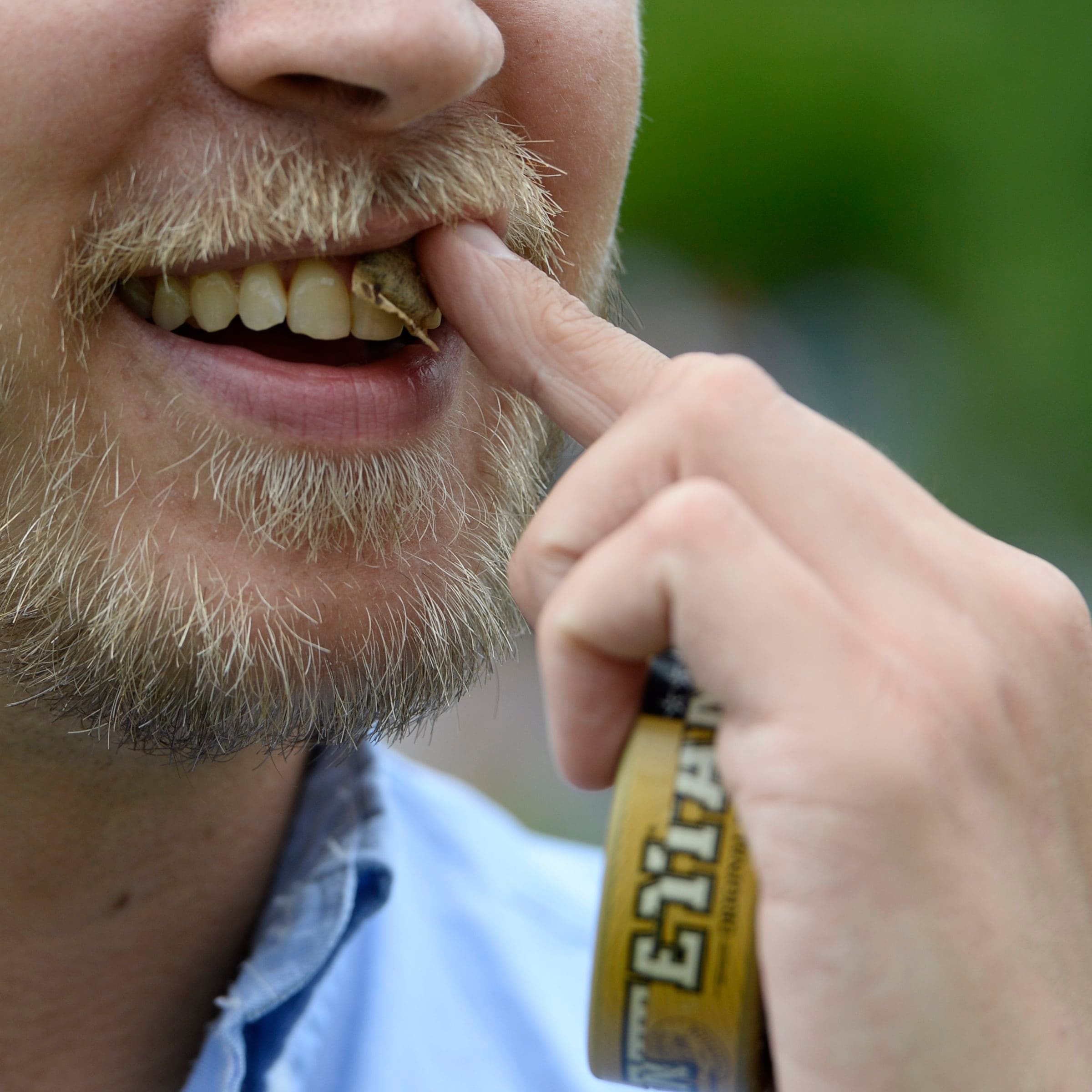 Svensk snus blir trolig amerikansk - adressa.no