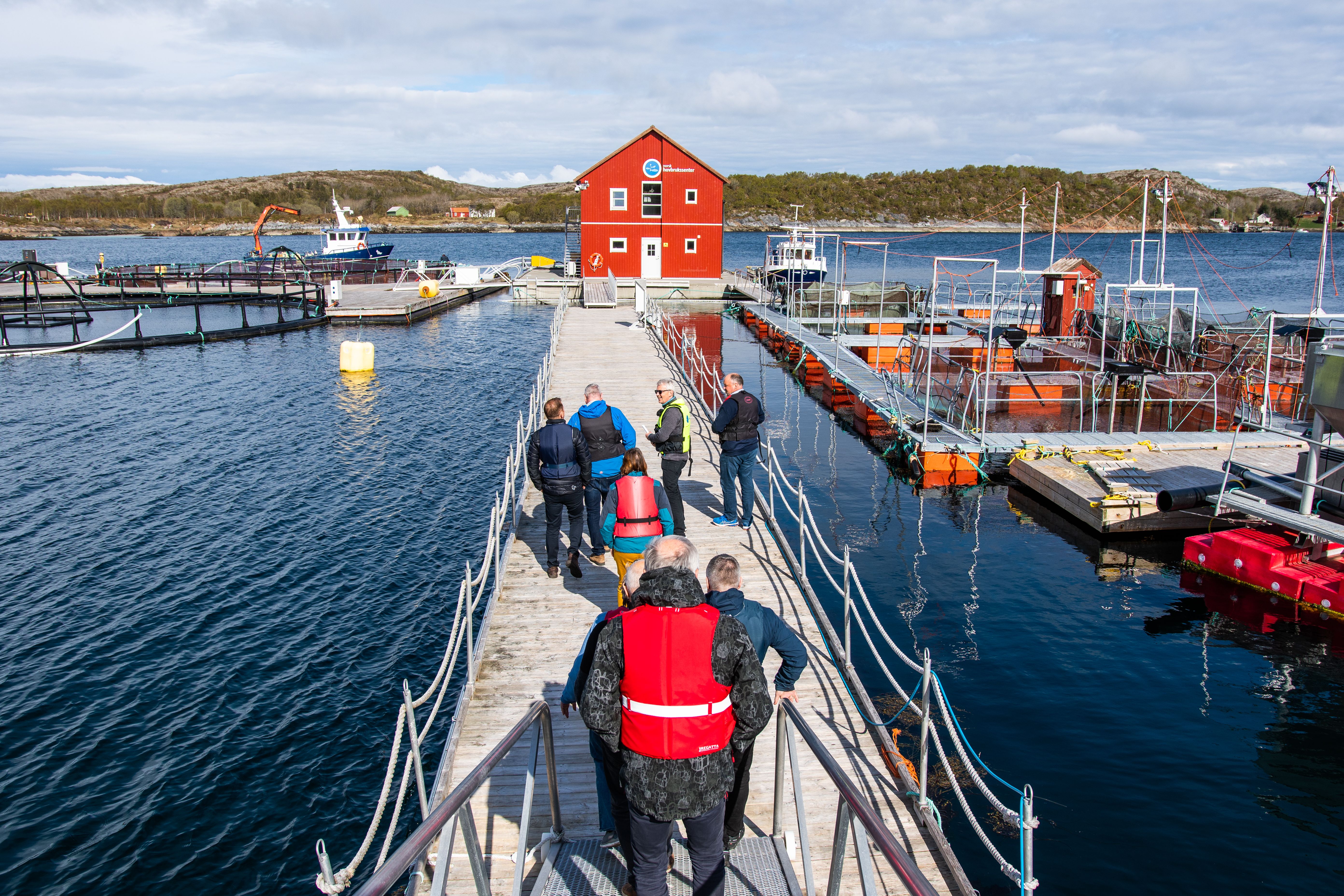 Torskeoppdrett får tommel opp i uttalelse fra direktorat - banett.no
