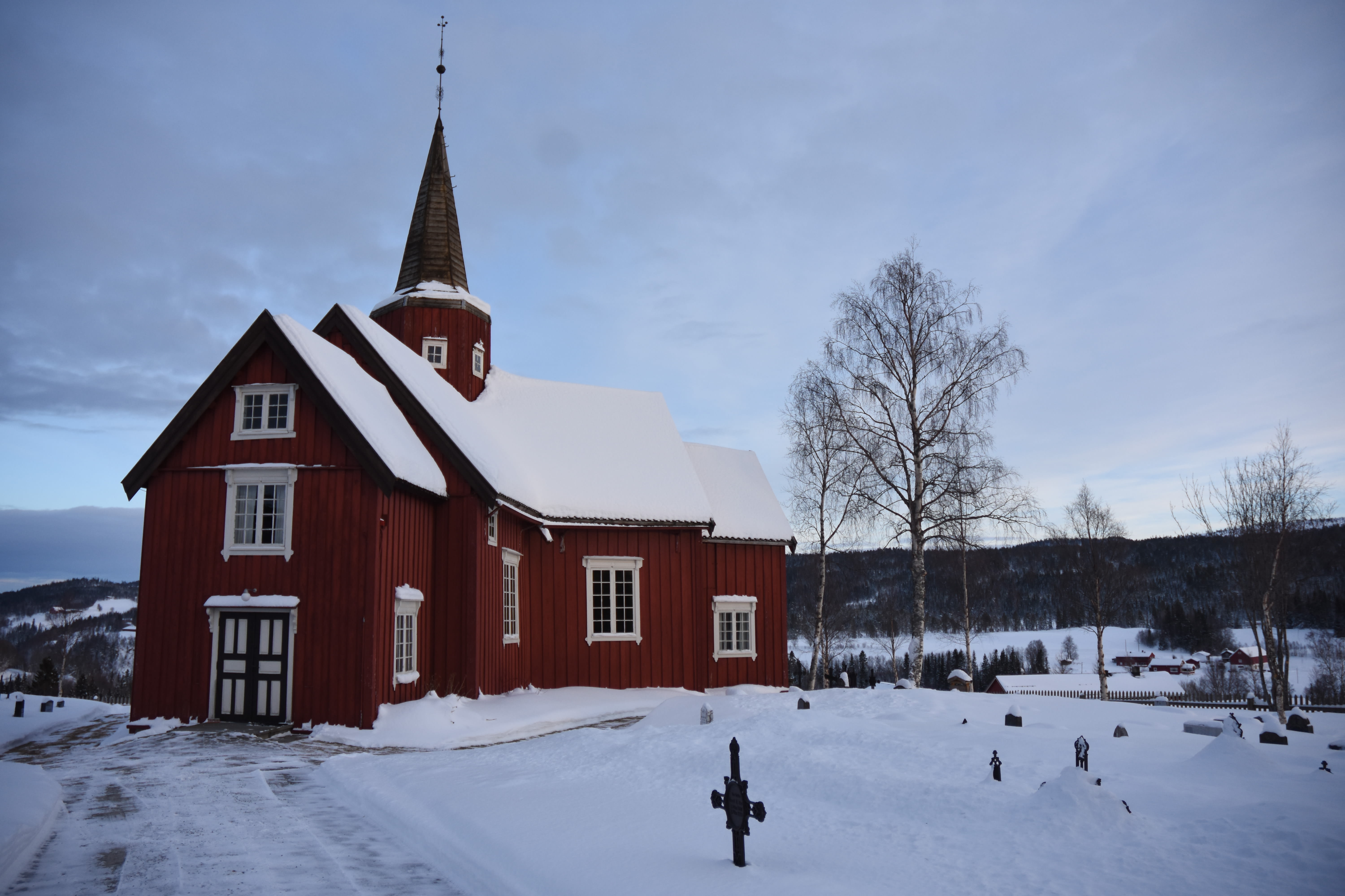 Fugl har gått til angrep på kirketårn - tronderbladet.no
