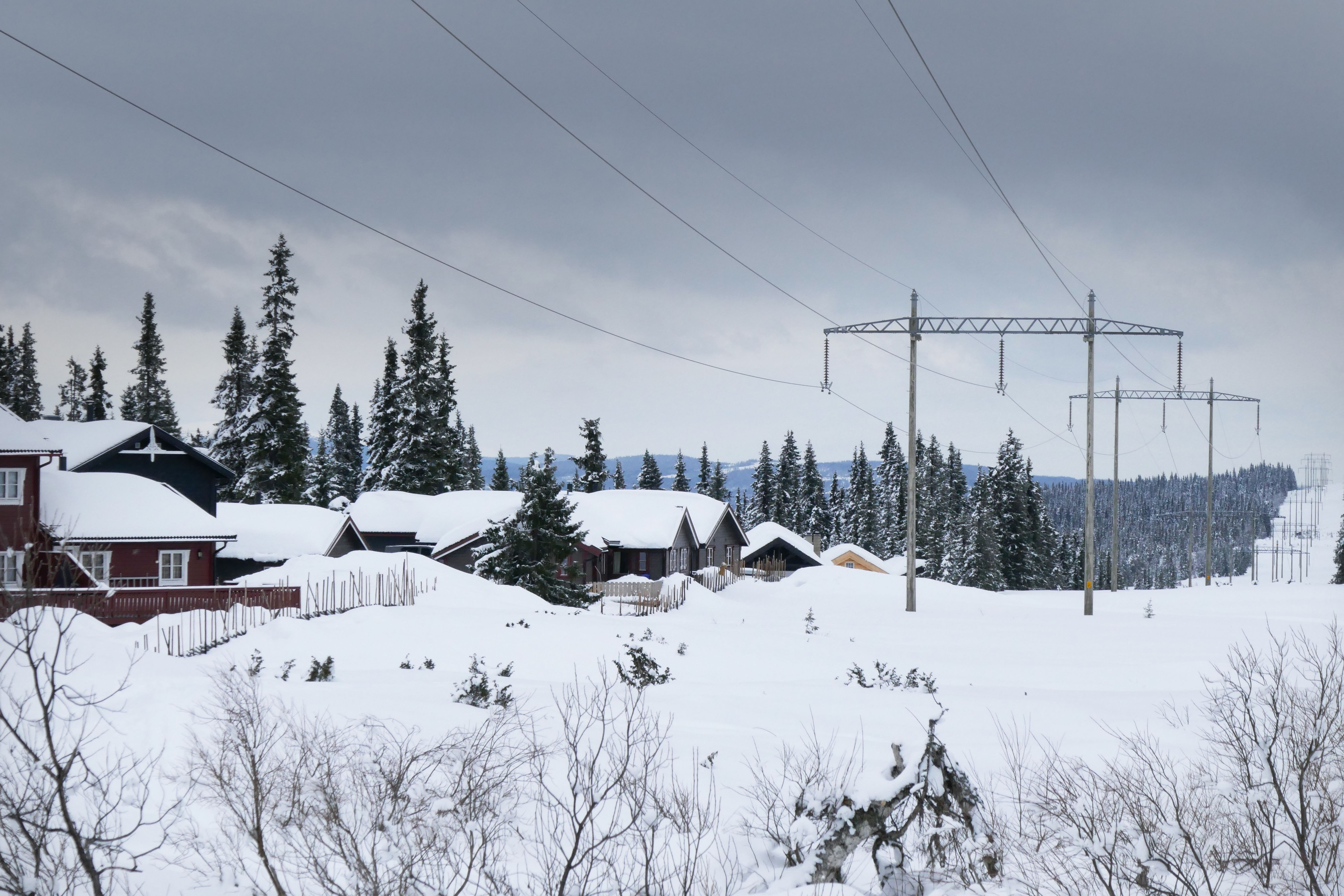 Straumprisane og prisforskjellane aukar i kulda - fjt.no