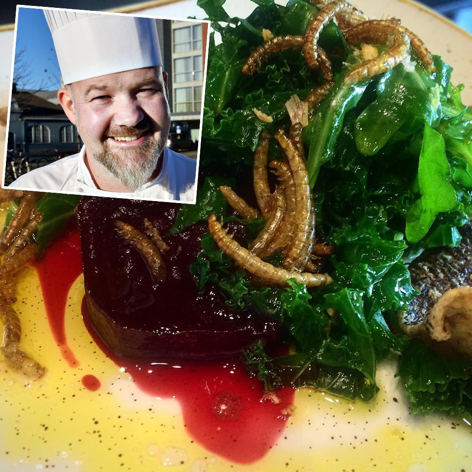 Sjekk stjernekokkens larve-salat! - trdby.adressa.no
