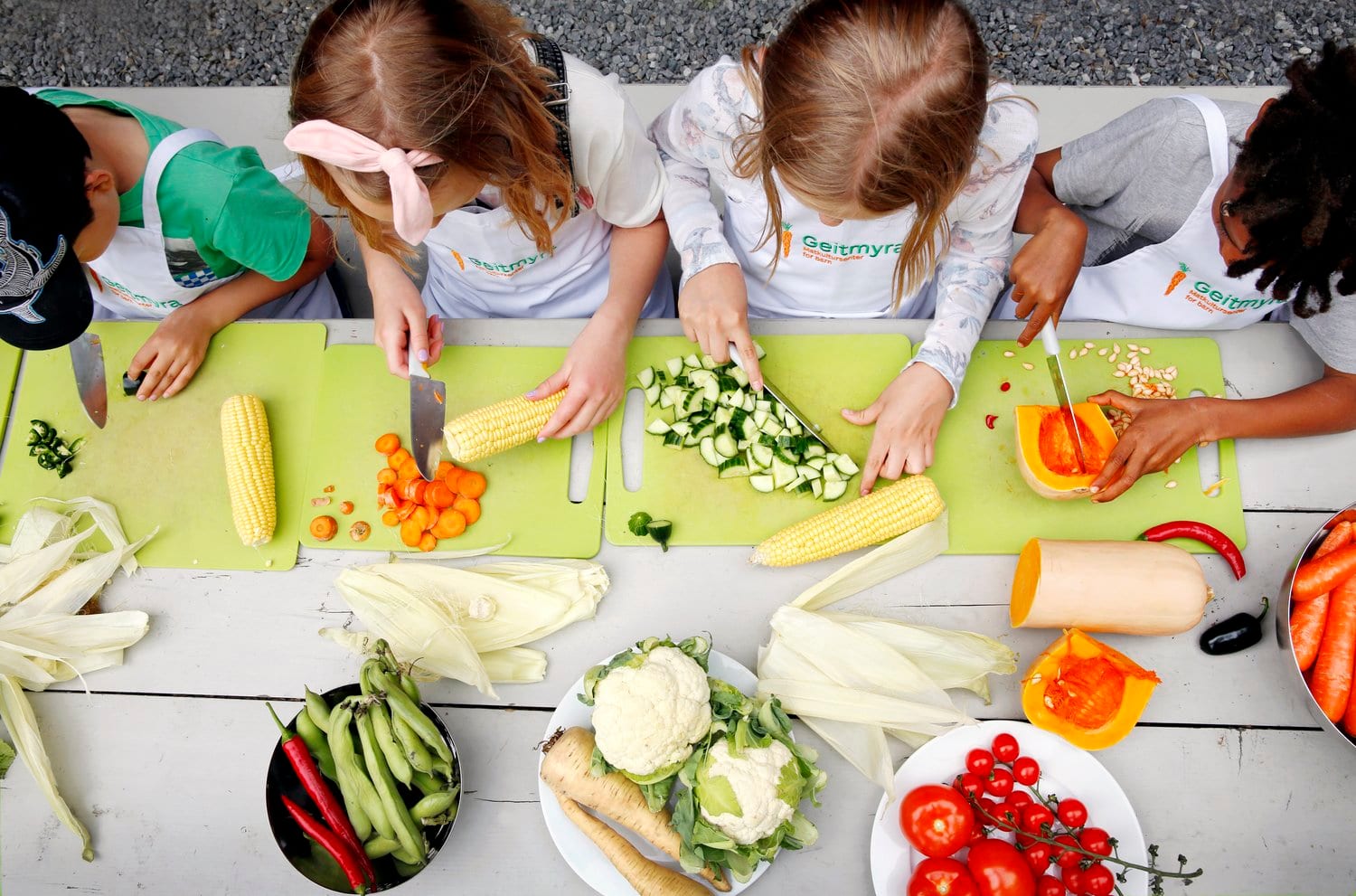 Matallergi må inkluderes i matopplæringen i Kristiansand kommune - fvn.no