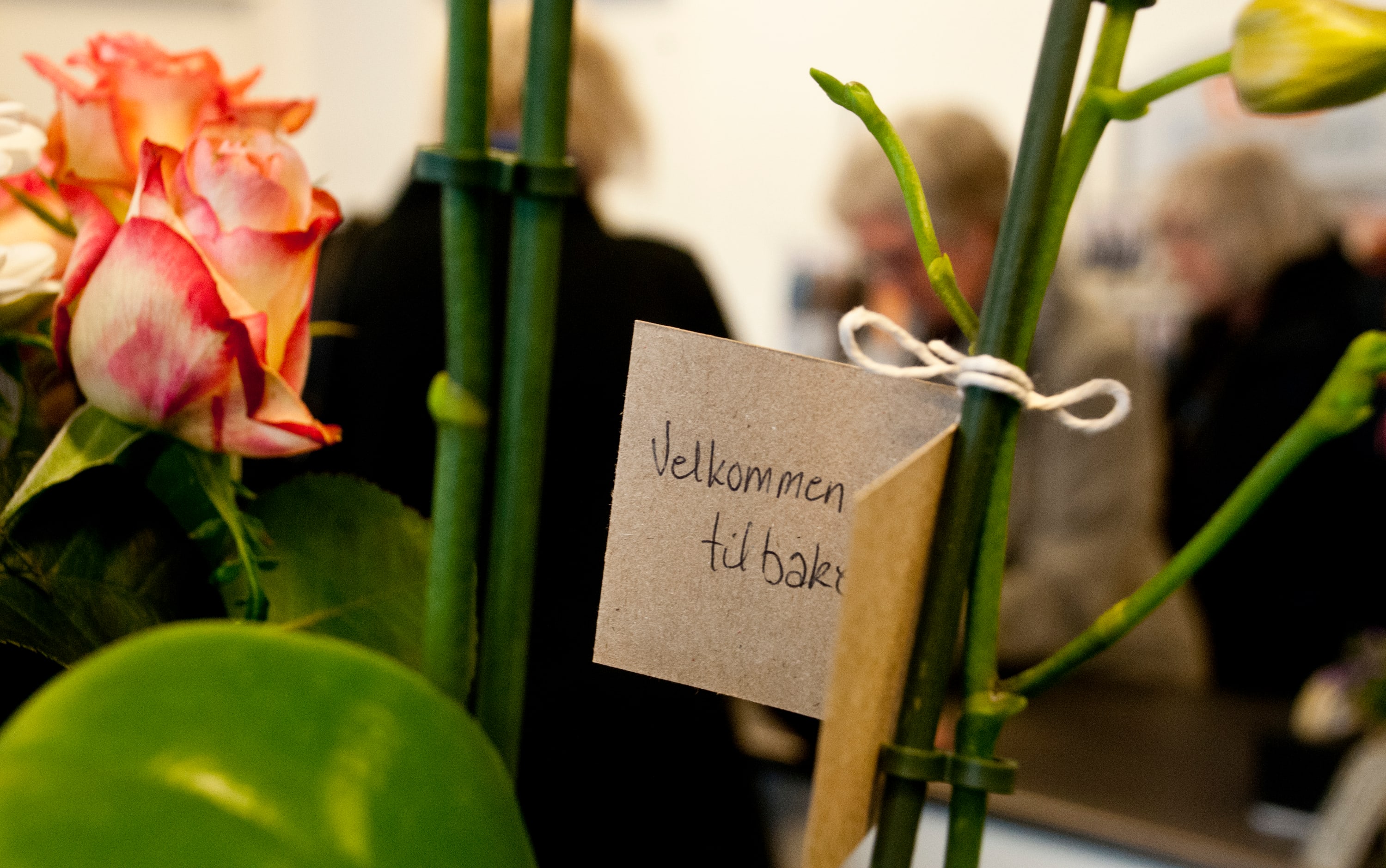 - Velkommen tilbake - vol.no