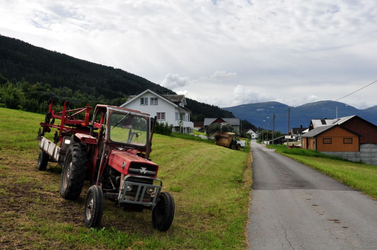 Ligg an til kronår i jordbruket i år - fjordingen.no