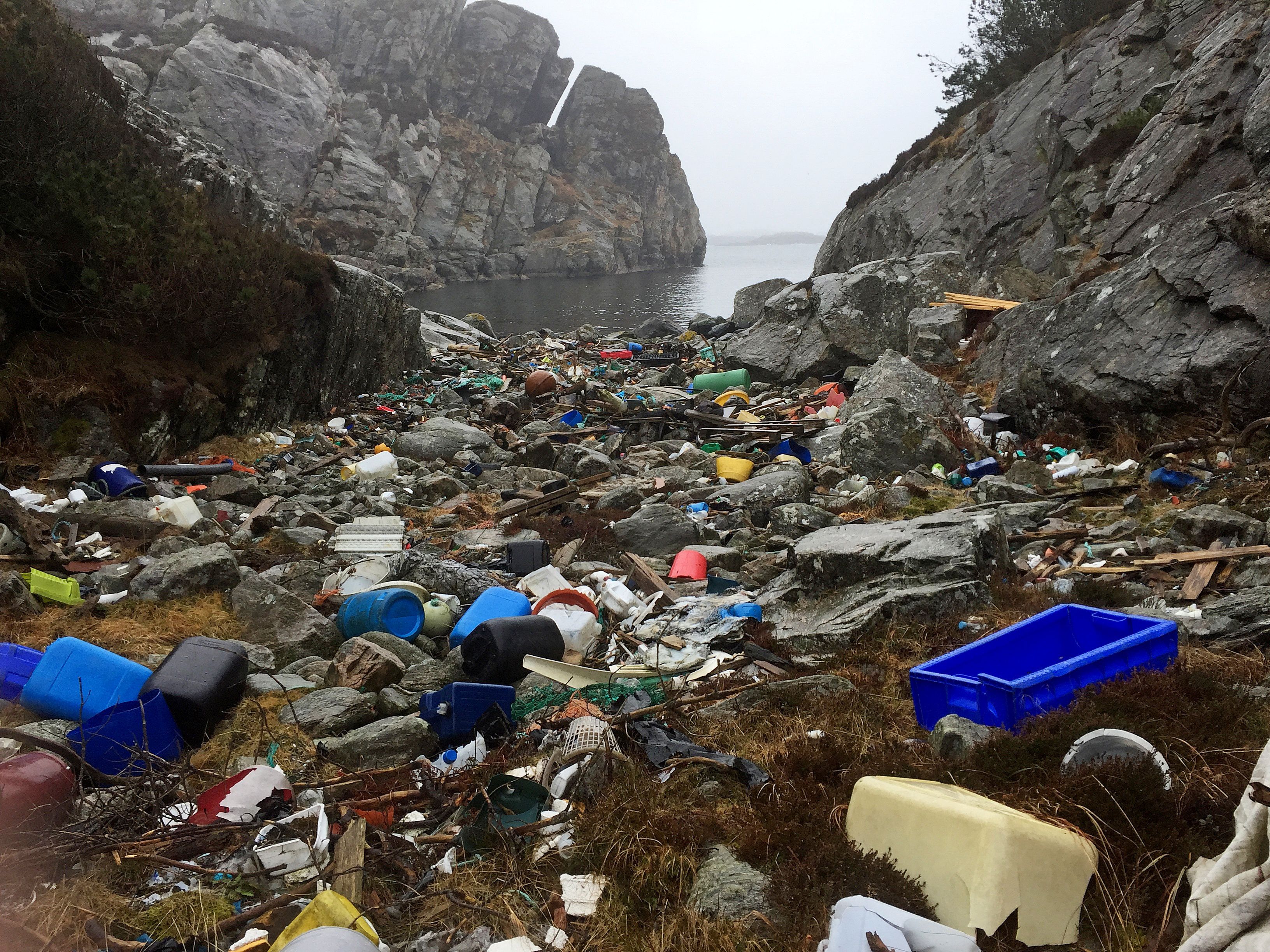 Strandrydding i Algrøy-området
