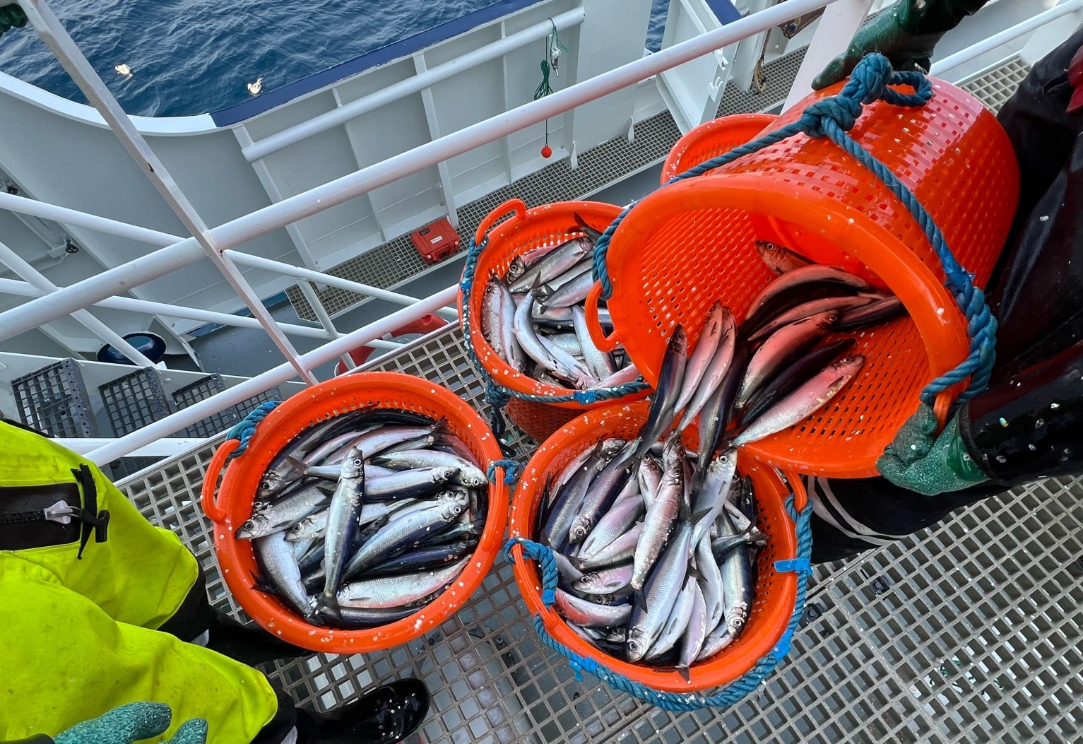 Stopper fisket i britisk sone - smp.no