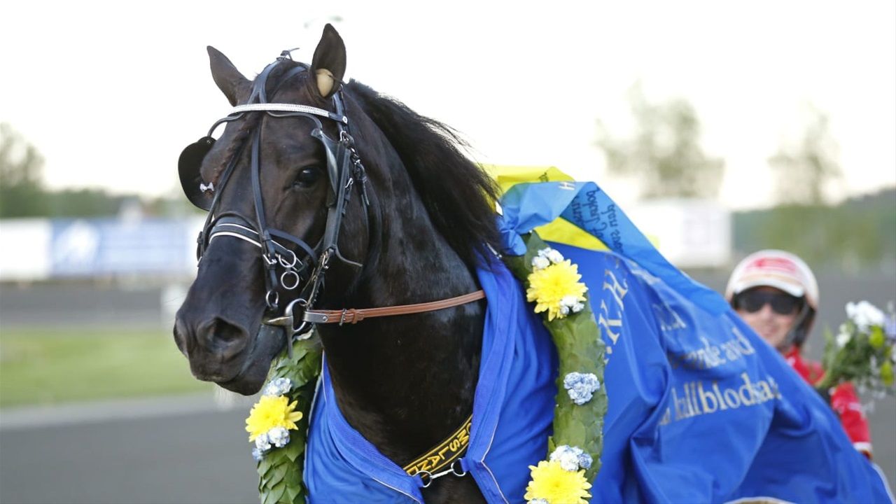 Fra denne bygda kommer noen av Norges beste travhester - l-a.no