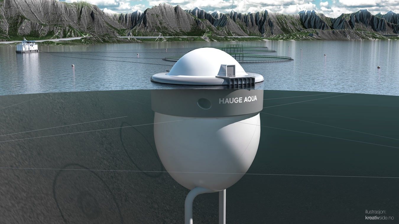 Vil drive oppdrett med «Egget» i Romsdal - rbnett.no