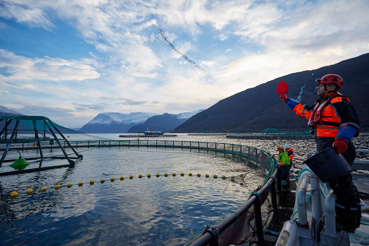 Hadsel på topp i Nordland - vol.no