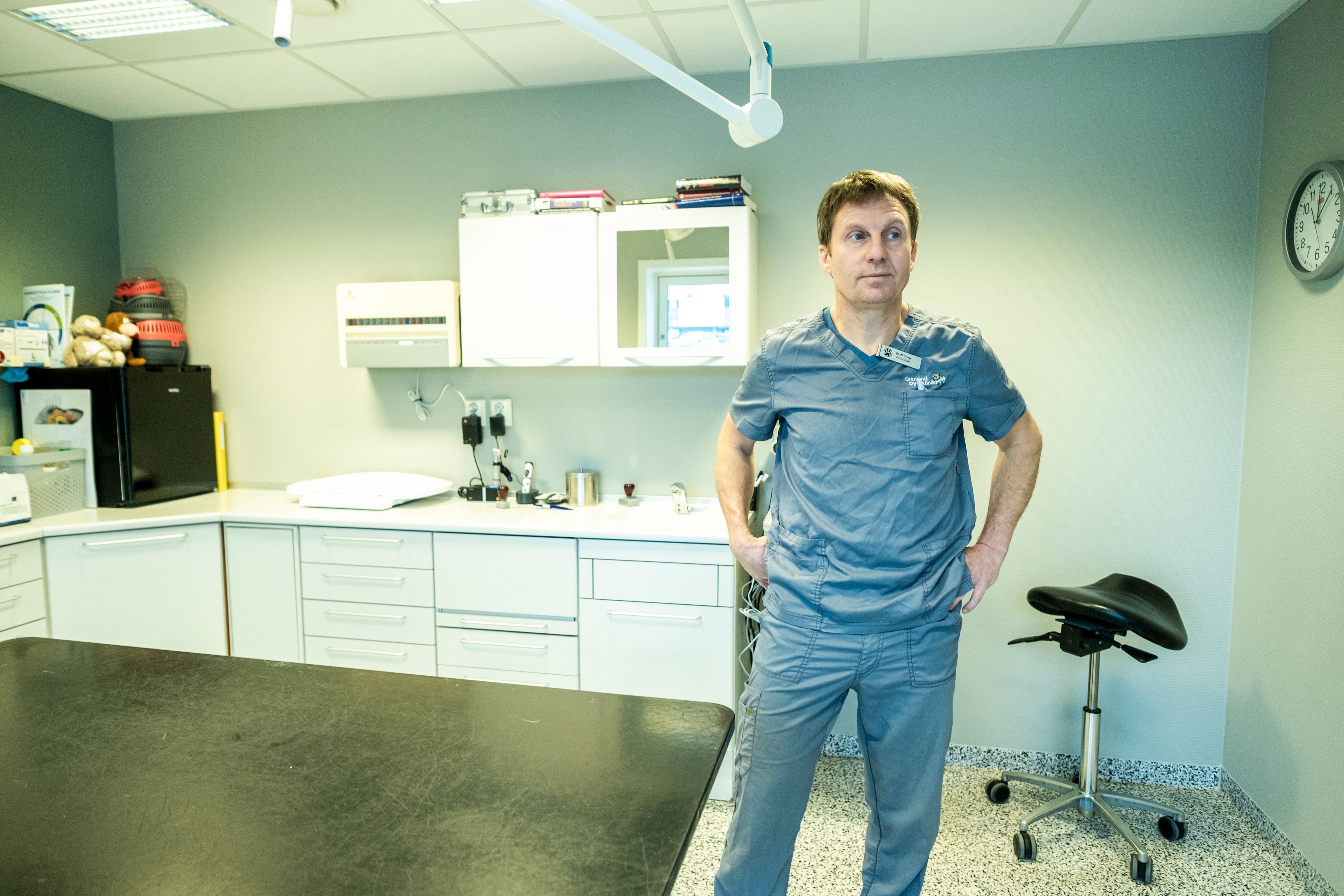 Veterinærer: – Det blir altfor mye godbiter - varden.no