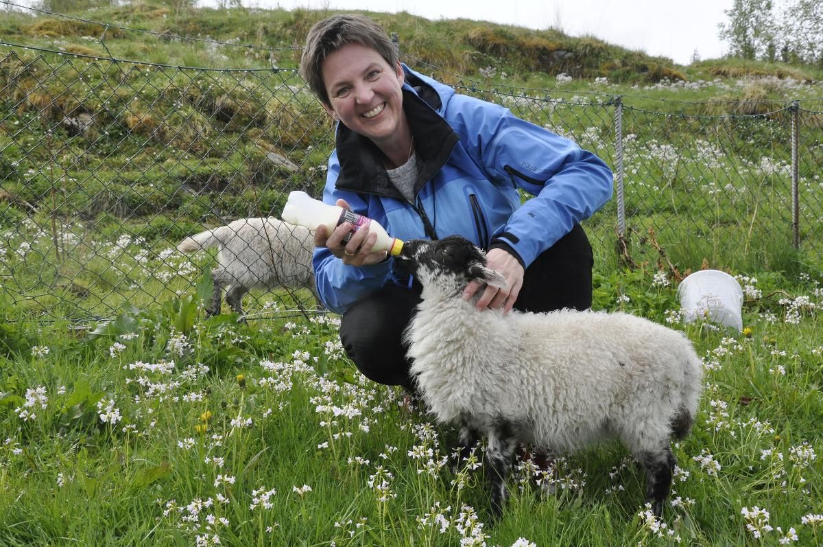Livet er meir enn summen av høgdepunkta - strilen.no