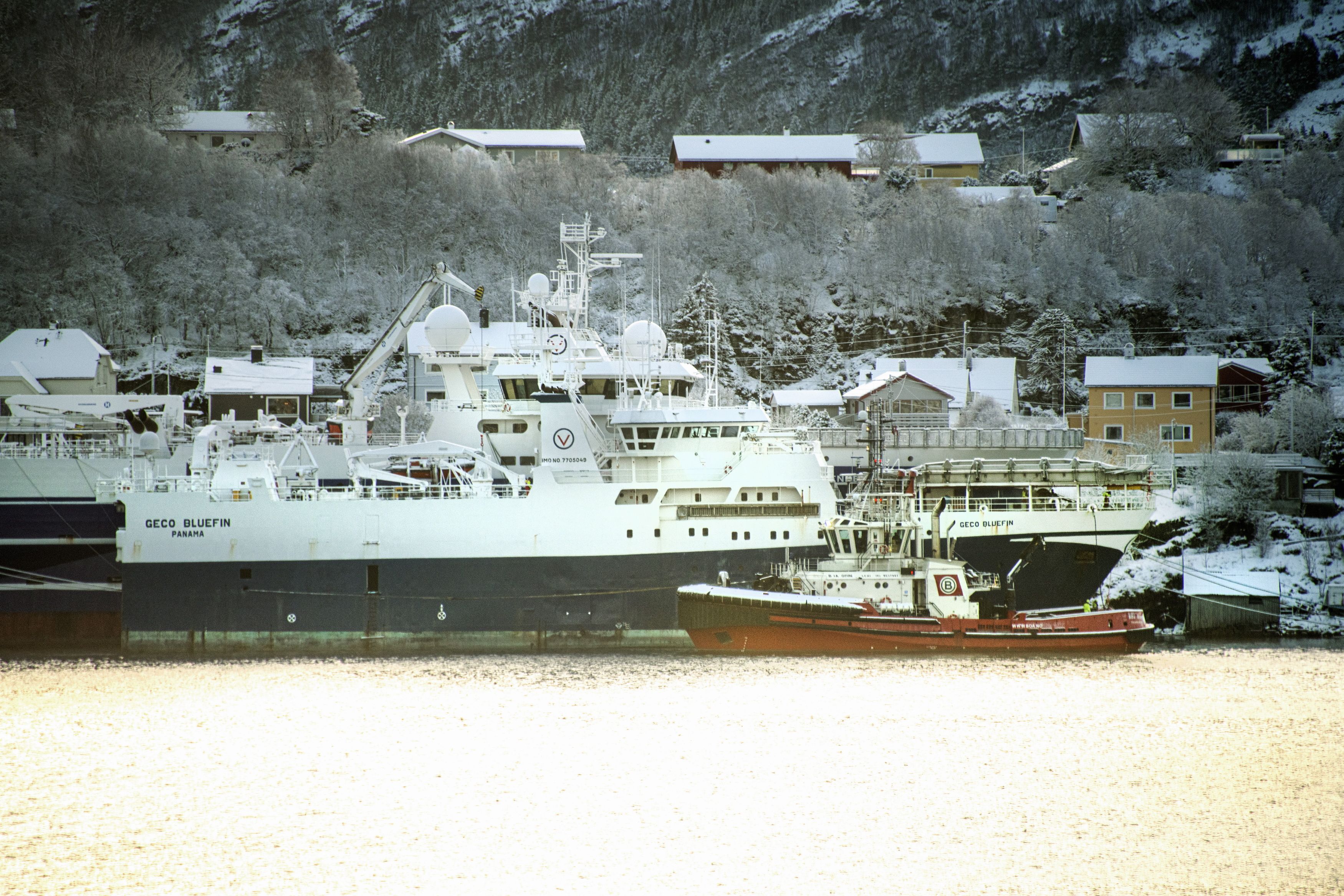 Volstad Maritime: Volantis | Norsk Skipsfarts Forum