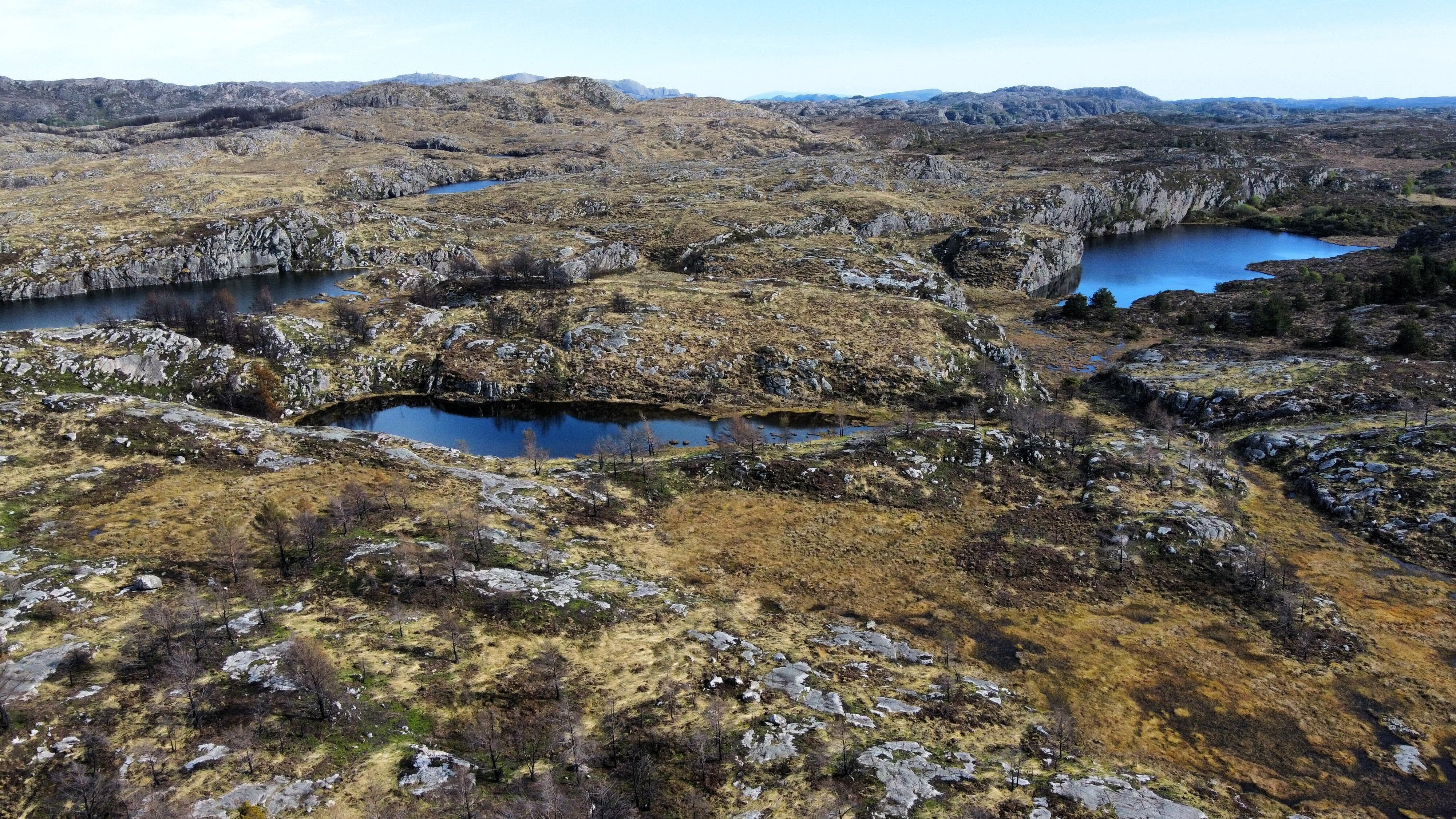 Øygarden må vurdera motorveg opp mot natur på nytt - vestnytt.no
