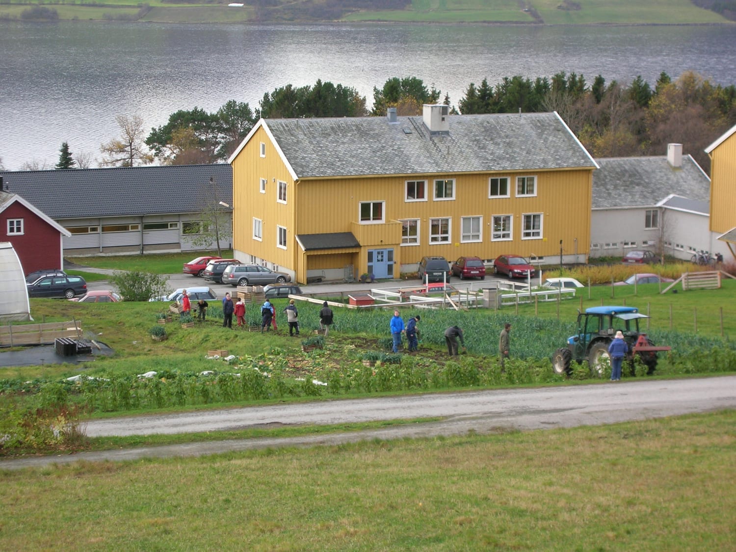 - Trafikk og luftforurensing kan gjøre utemiljøet uholdbart - ht.no