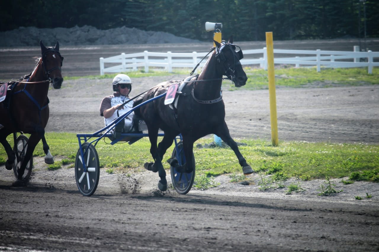 Satset på hesten ingen trodde skulle vinne, vant over 15 millioner ...