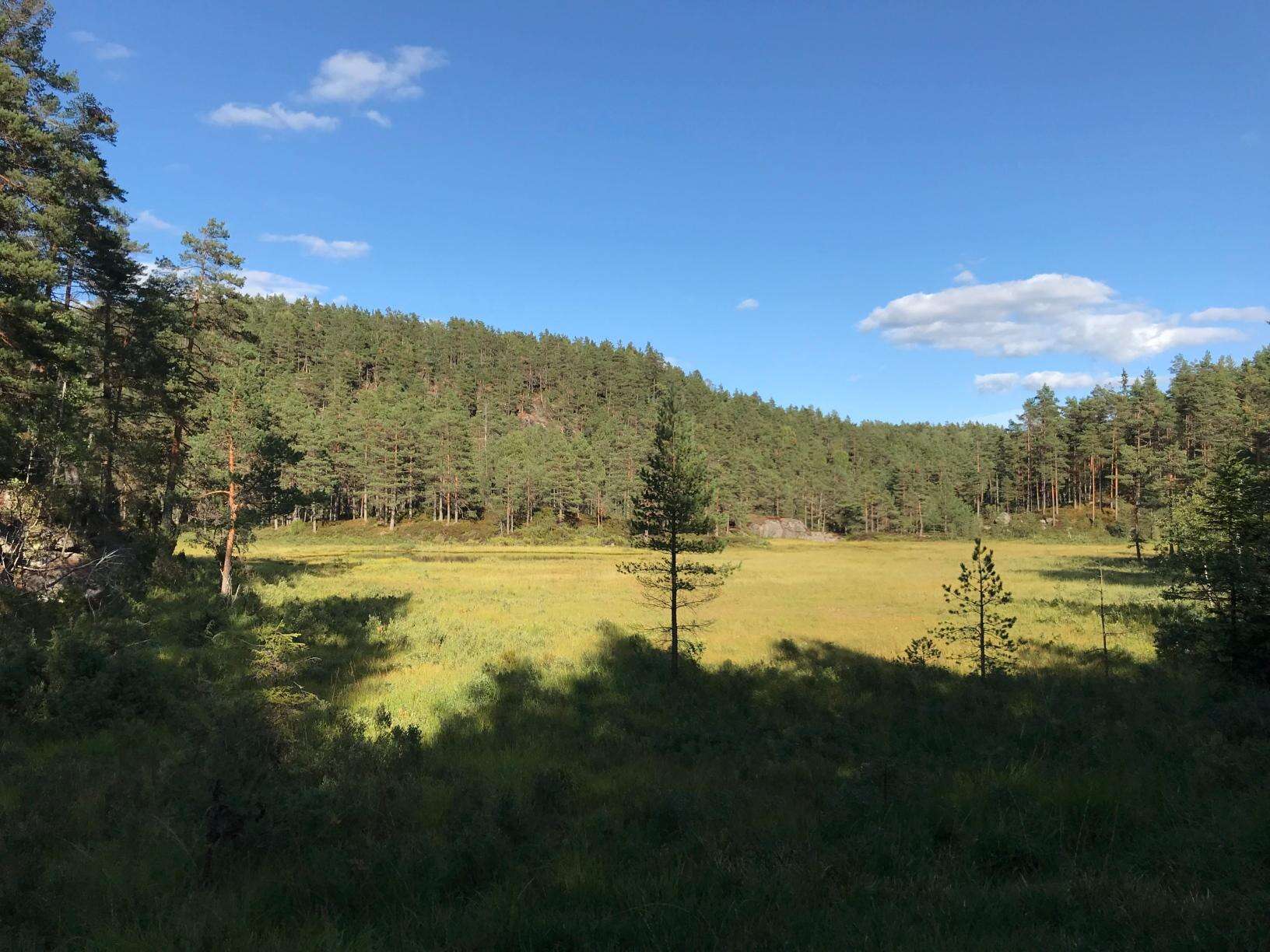 Bonde ber om nydyrking av fem myrer – kommunen sier ja til én ...