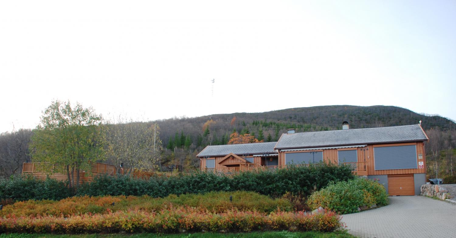 Krangler om Rolls - vol.no