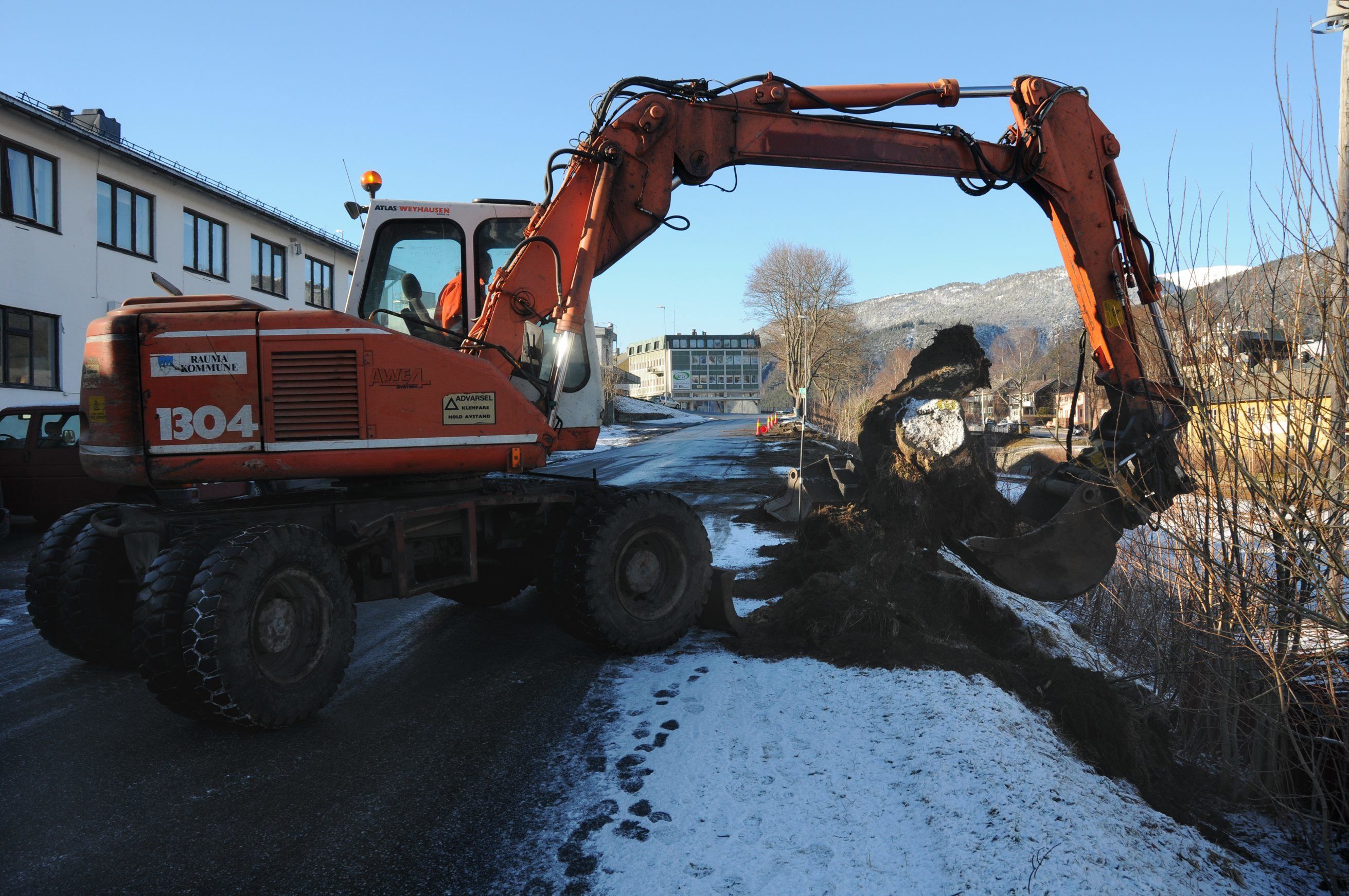 Fjerner trær for gangveg