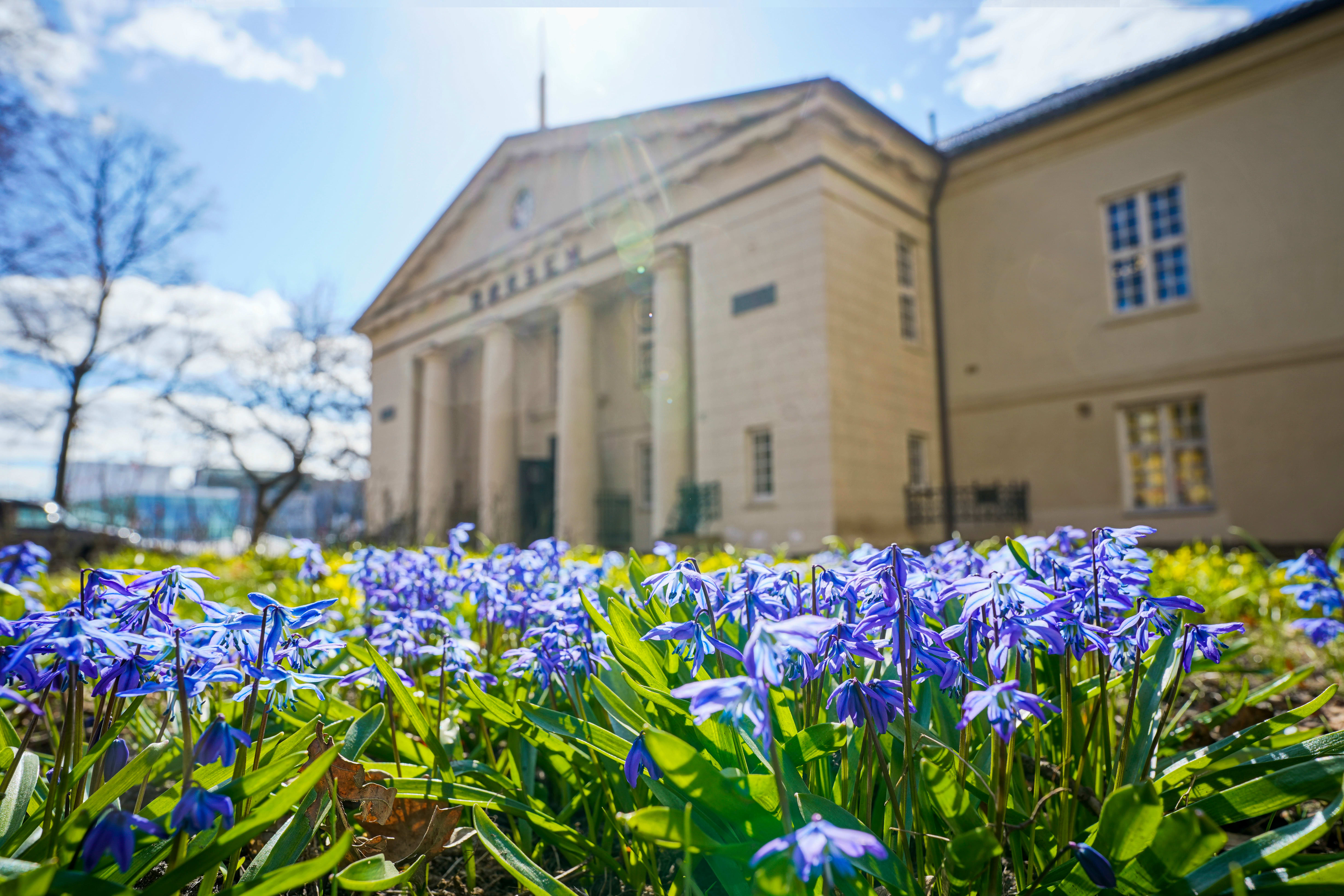 Den norske stat må investere mer i oppstart- og vekstselskaper - adressa.no