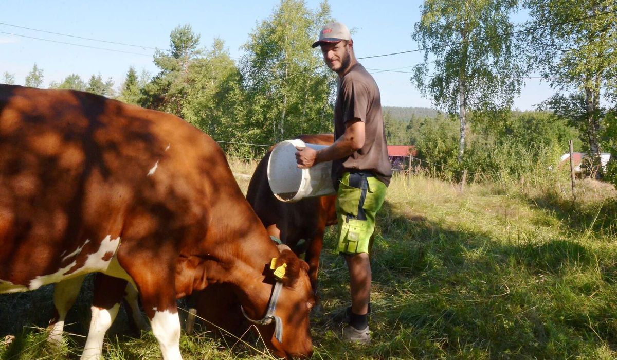 - Jeg må bare komme meg gjennom dette året, sier den ferske bonden ... - Jeg må bare komme meg gjennom dette året, sier den ferske bonden ...