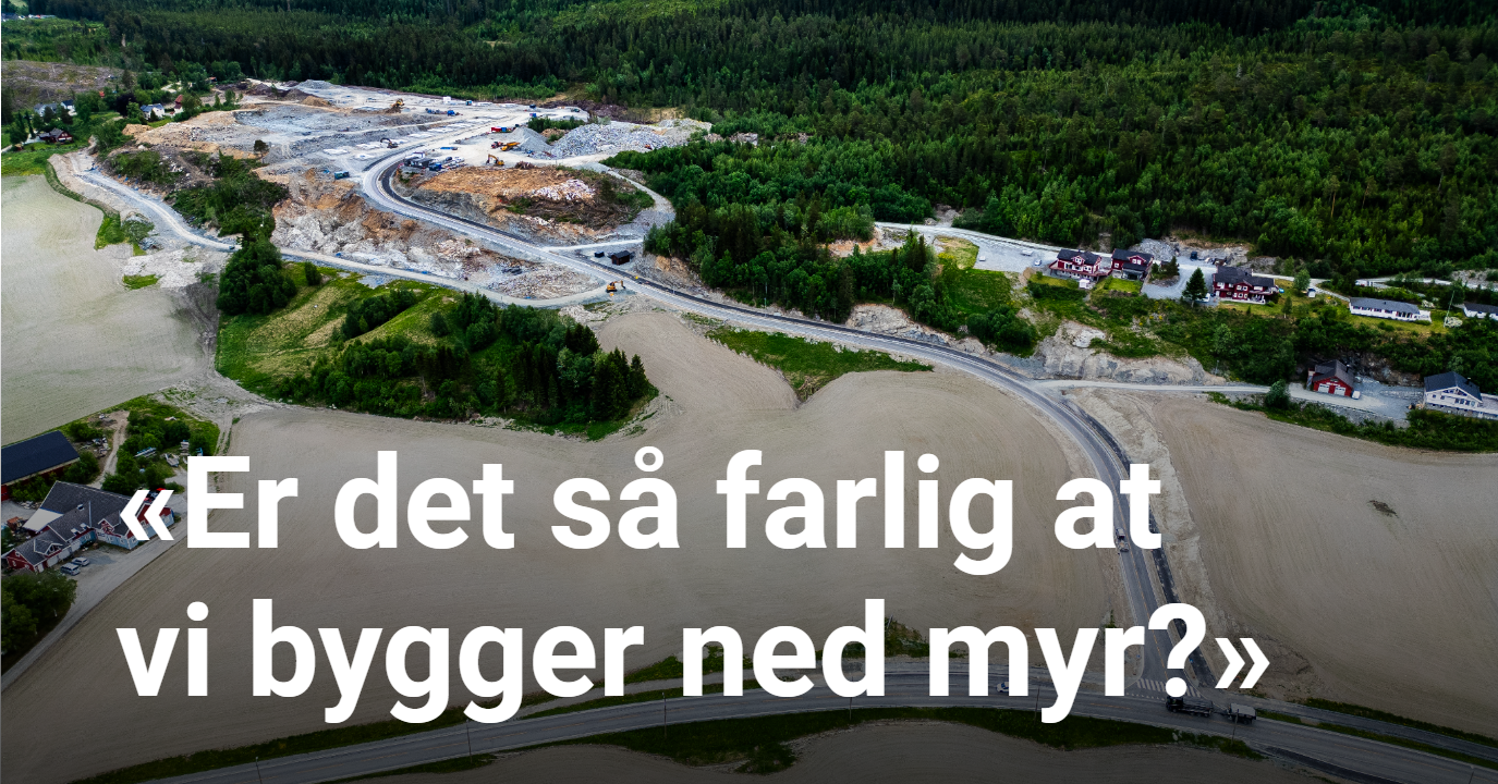 Derfor er det viktig å ta vare på myr - adressa.no
