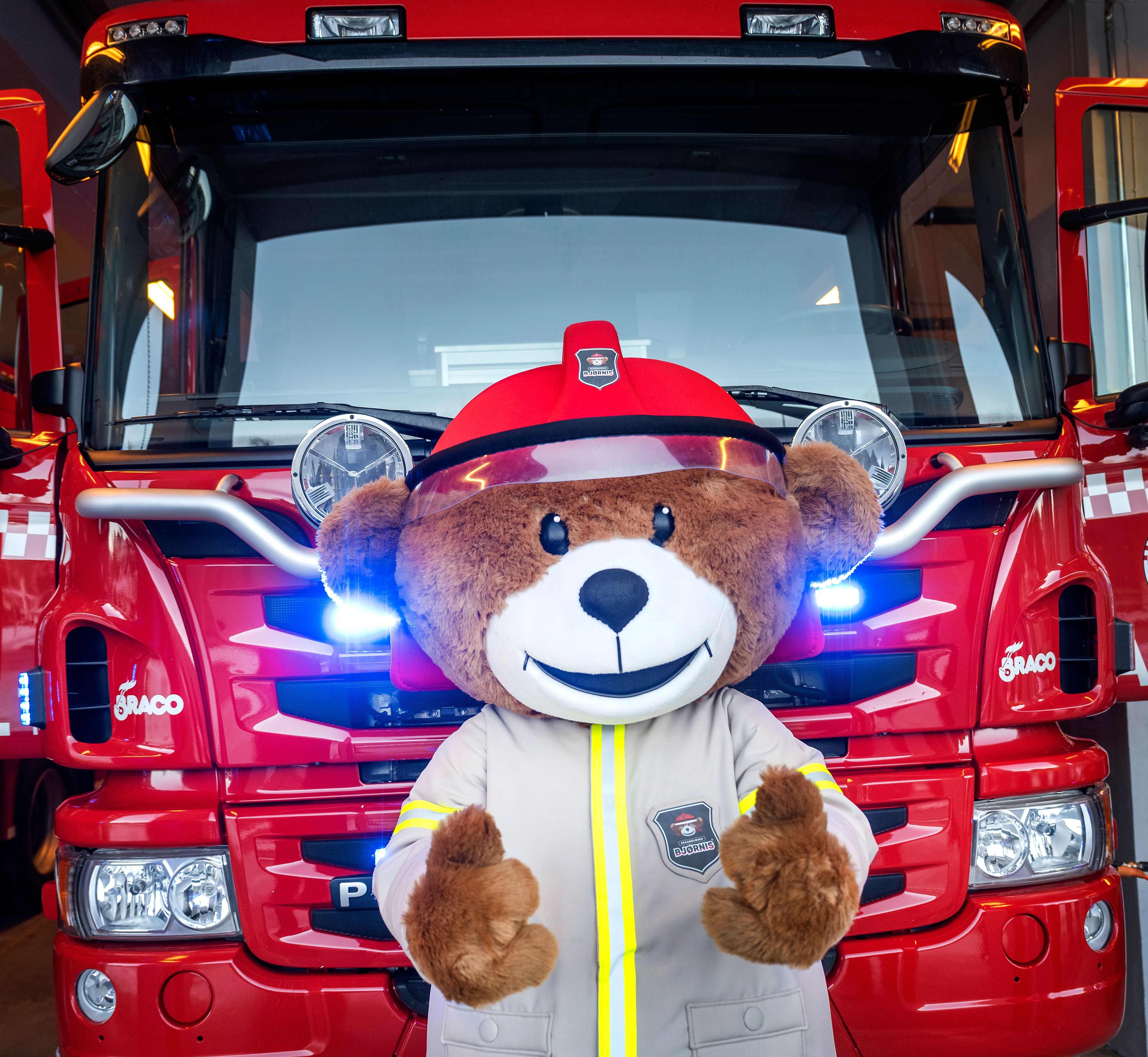 Dyr bamse - fjordingen.no