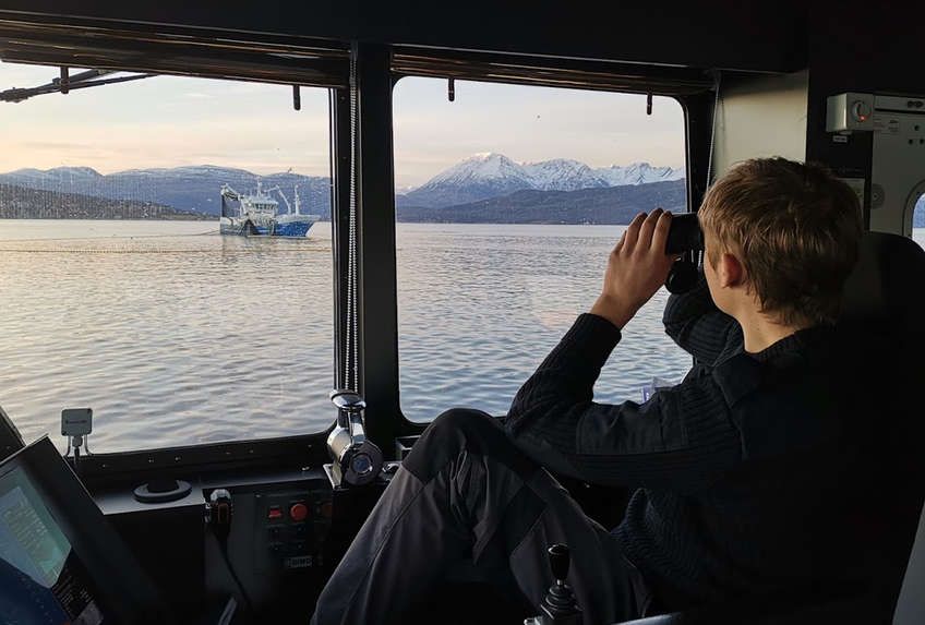 - Silda kom tidlig i år - kystogfjord.no