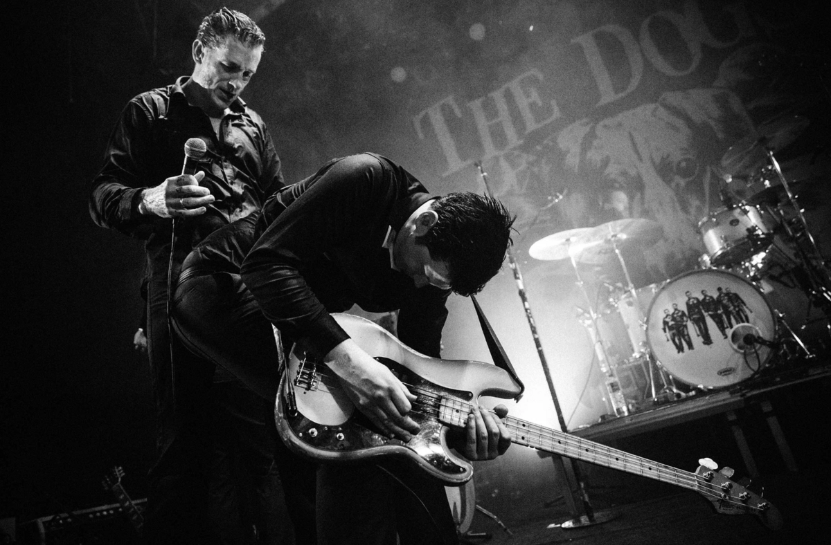 The Dogs til Molde - rbnett.no