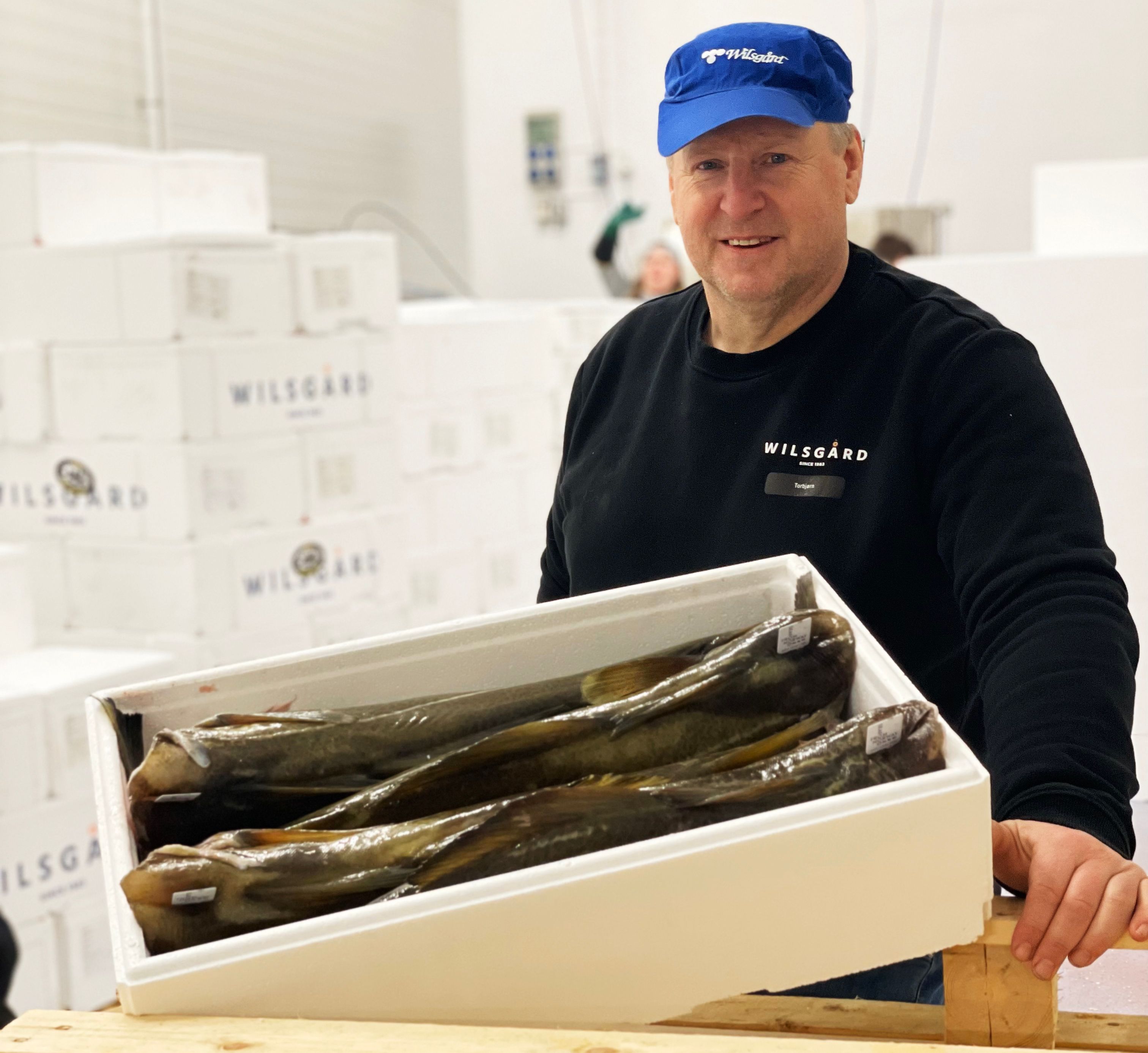 Torbjørn fikk "flying start" i Torsken - kystogfjord.no