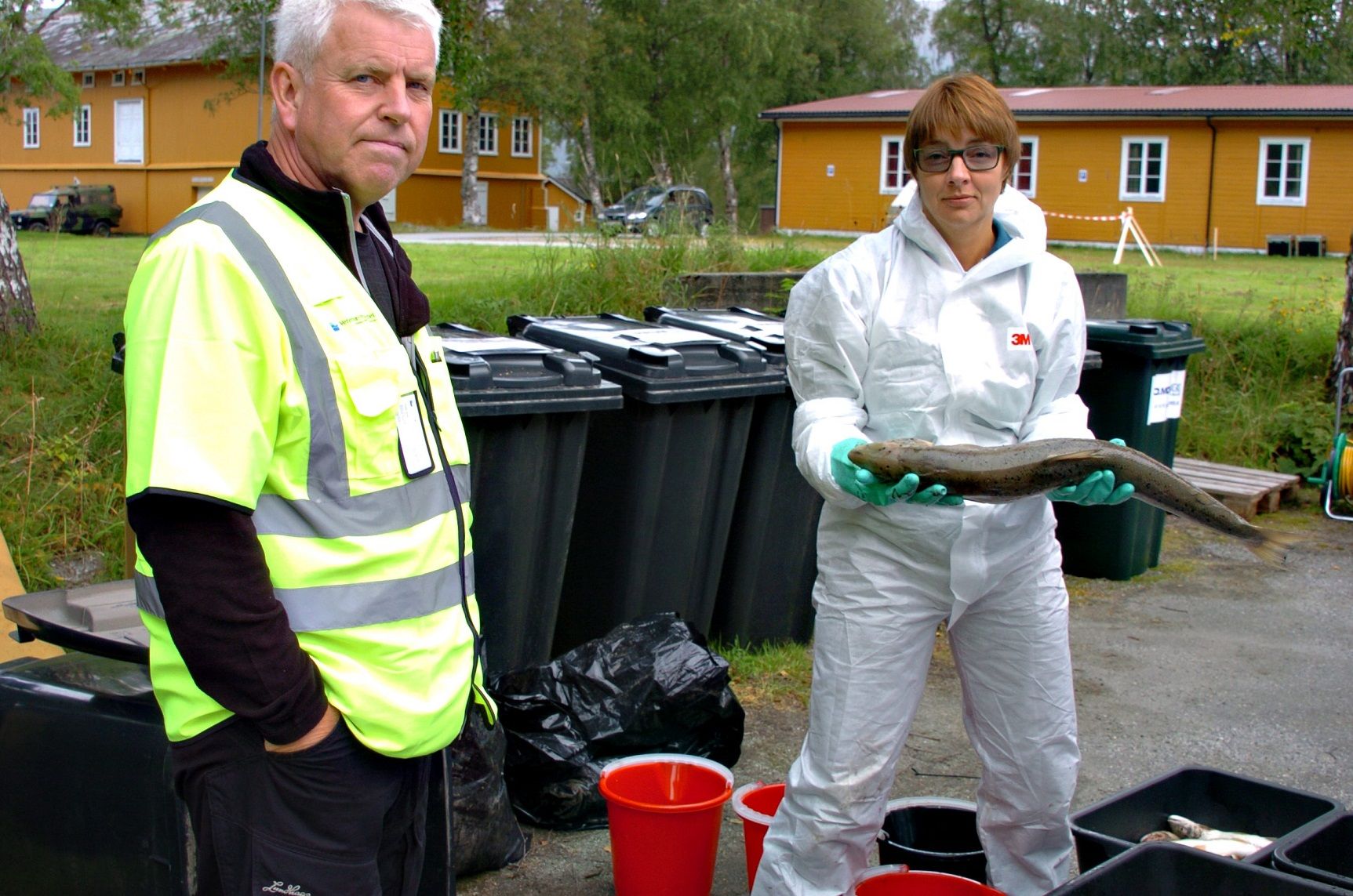108 avvik etter rotenonbehandling i Rauma - andalsnes-avis.no