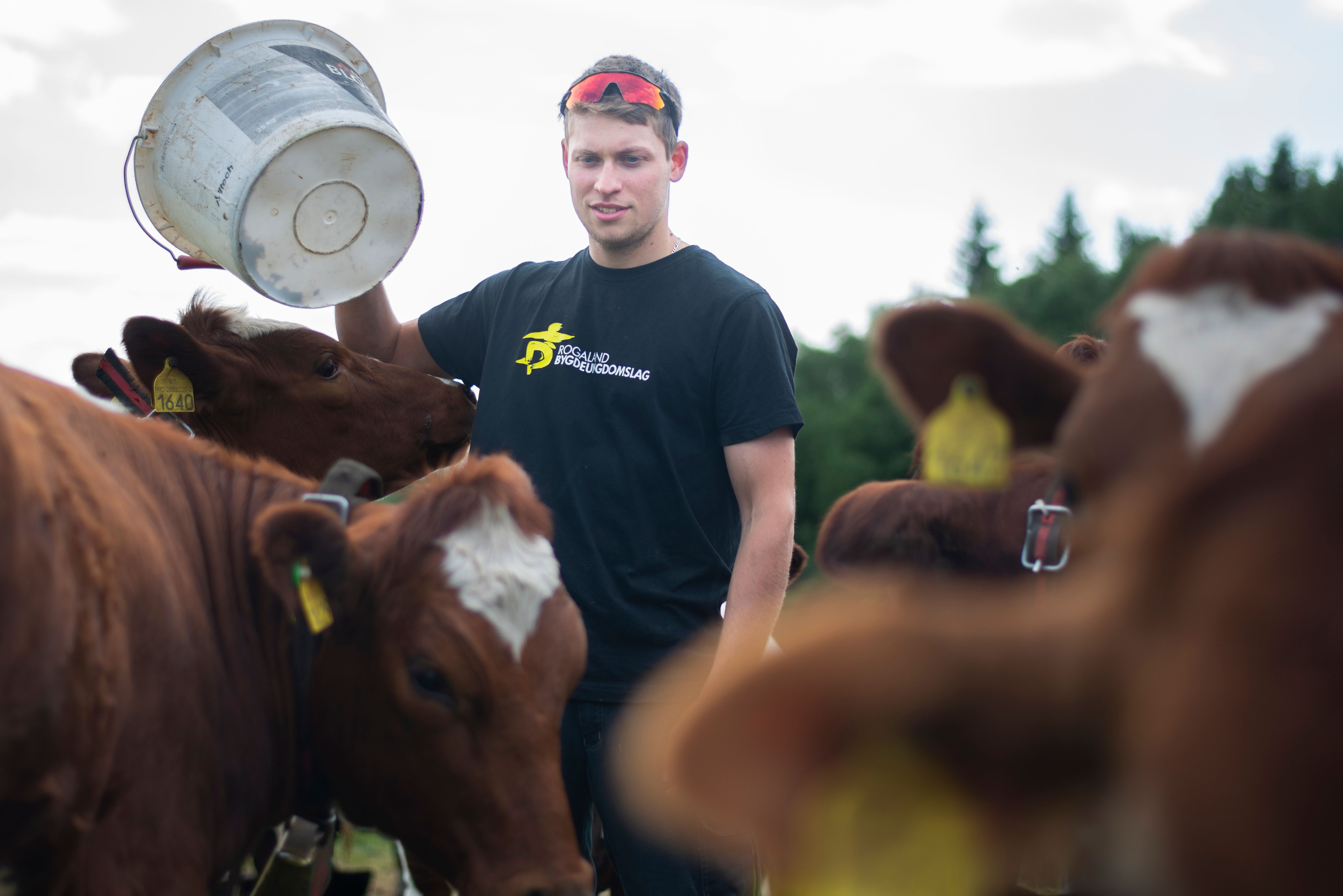 Georg Fredrik (27) begynte som bonde for fire år siden. Nå blir han ...