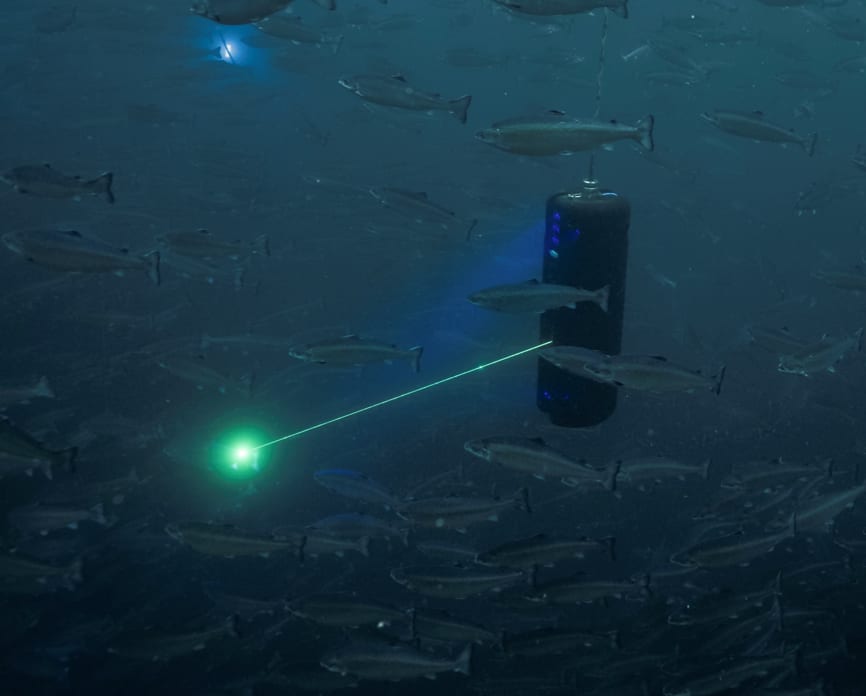 Oppdrettsselskap bruker laser mot lakselus - mn24.no