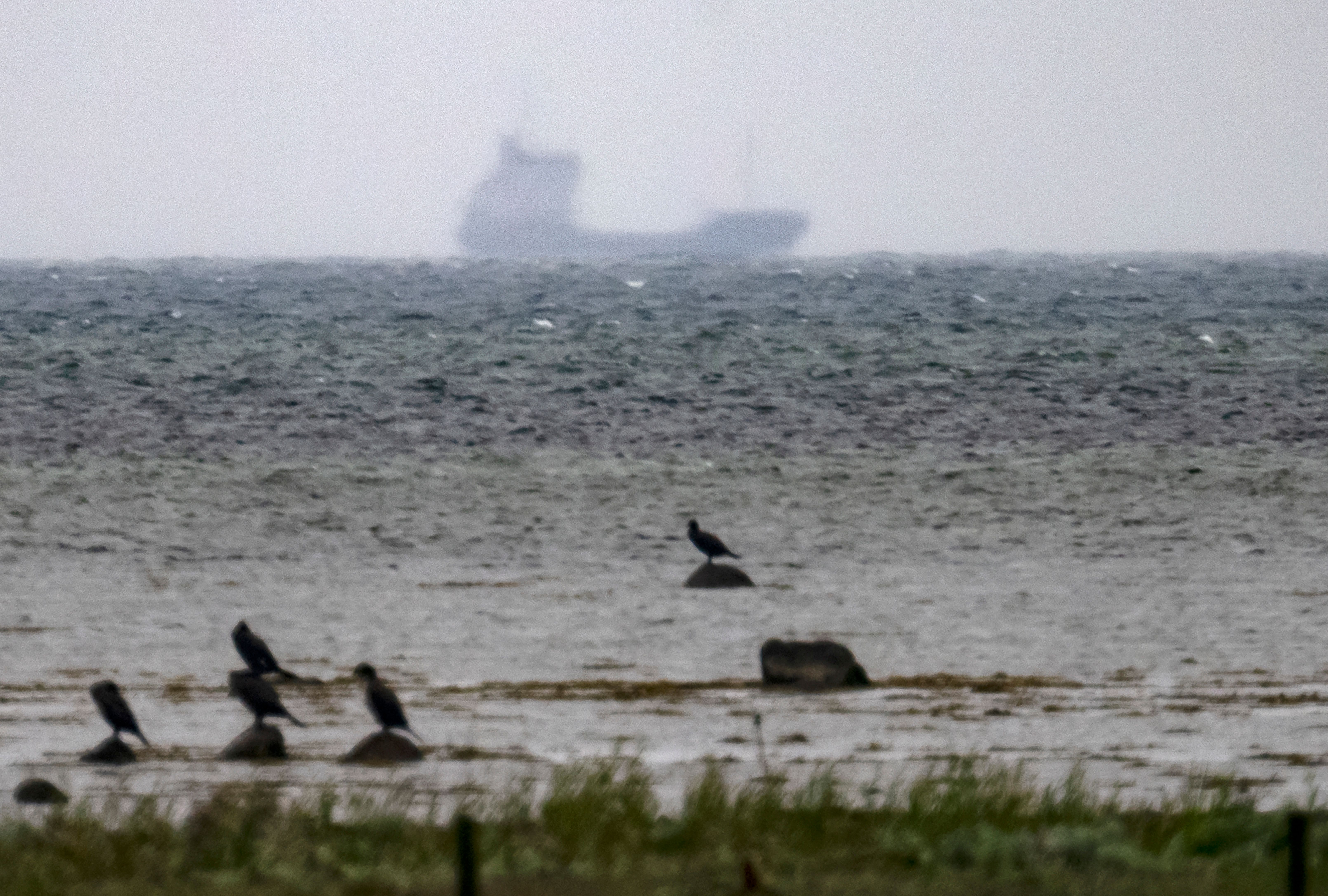 Skip med 69.000 liter diesel grunnstøtte i Øresund - adressa.no