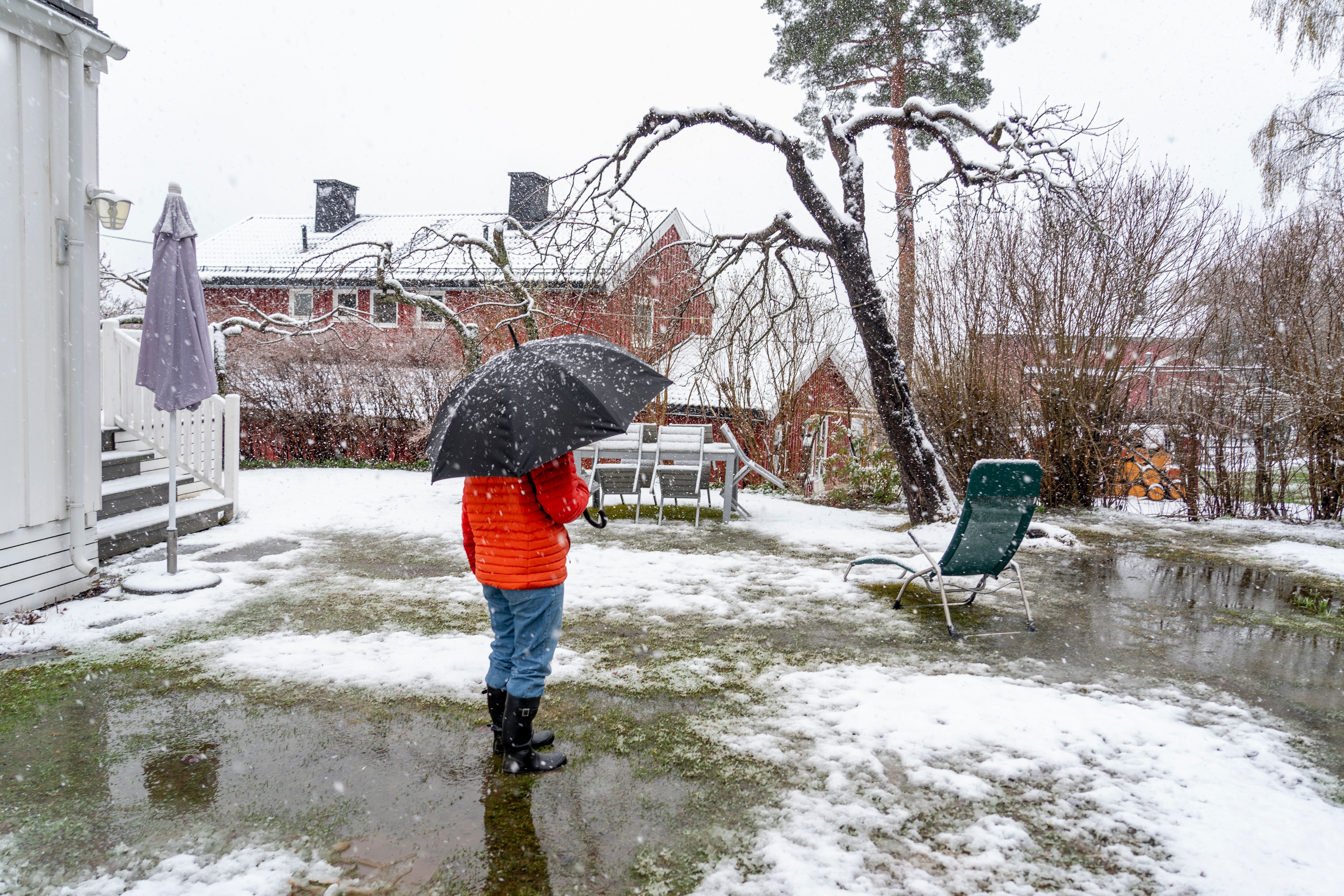 Mot helgen blir det vind i nord og vått i sør - adressa.no