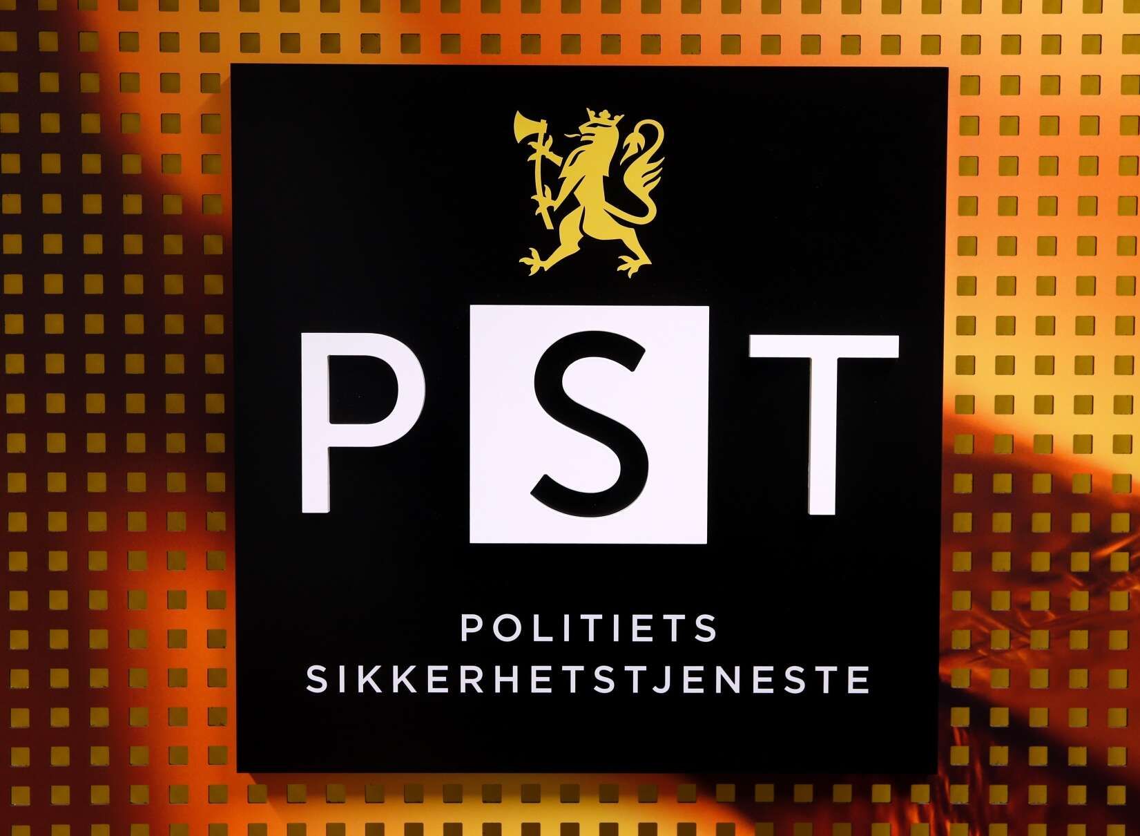 PST frykter høyreekstremister vil gjennomføre terror i Norge - varden.no
