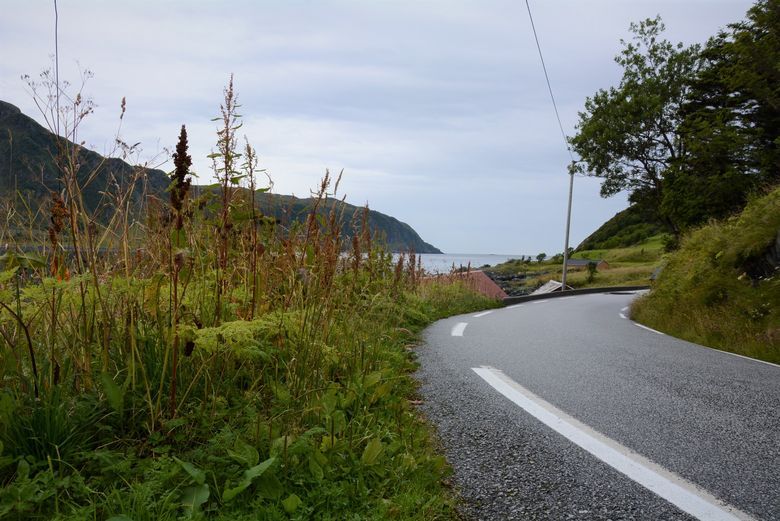 Meiner kommunen må bidra til å betre utsikta mot fjord og hav - fjt.no