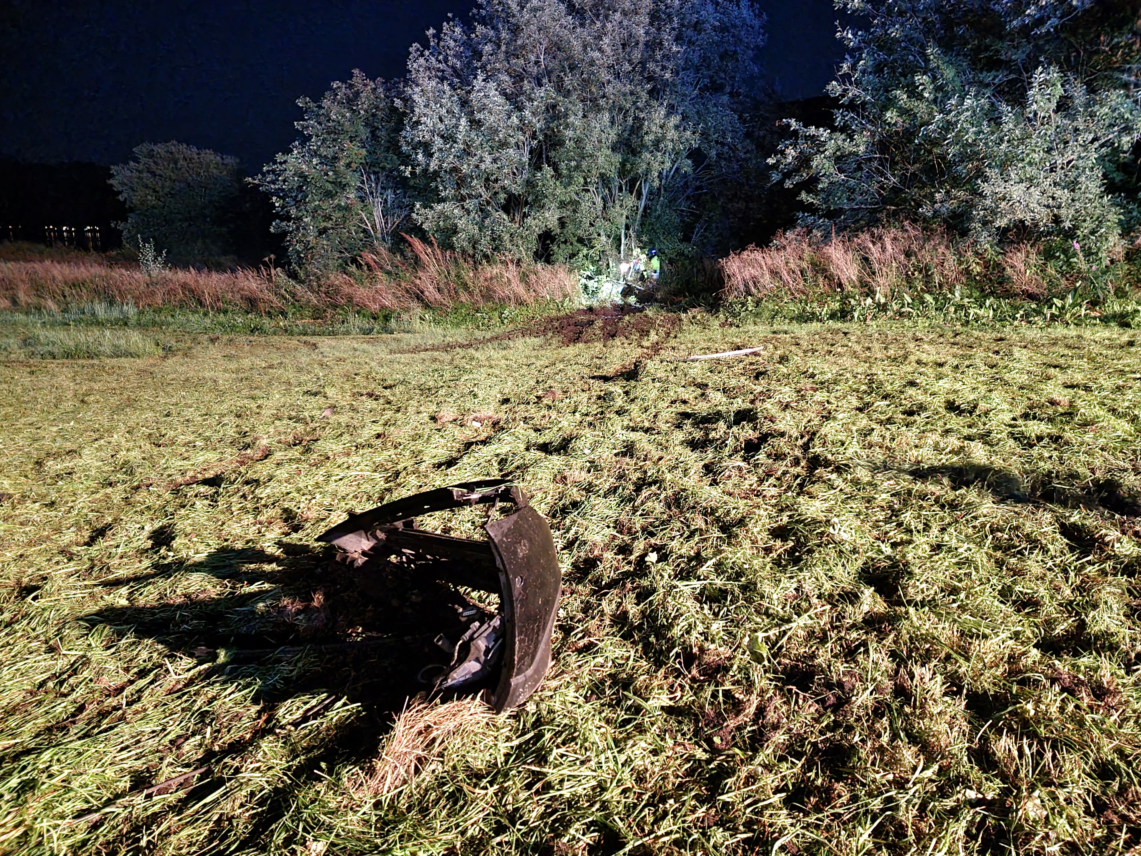 Over et jorde og inn i skogen - vol.no