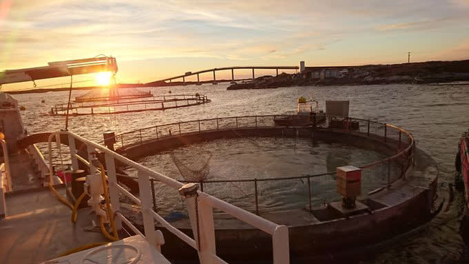 «Fisk i Betong» skal stoppe både lusa og rømningene - hitra-froya.no